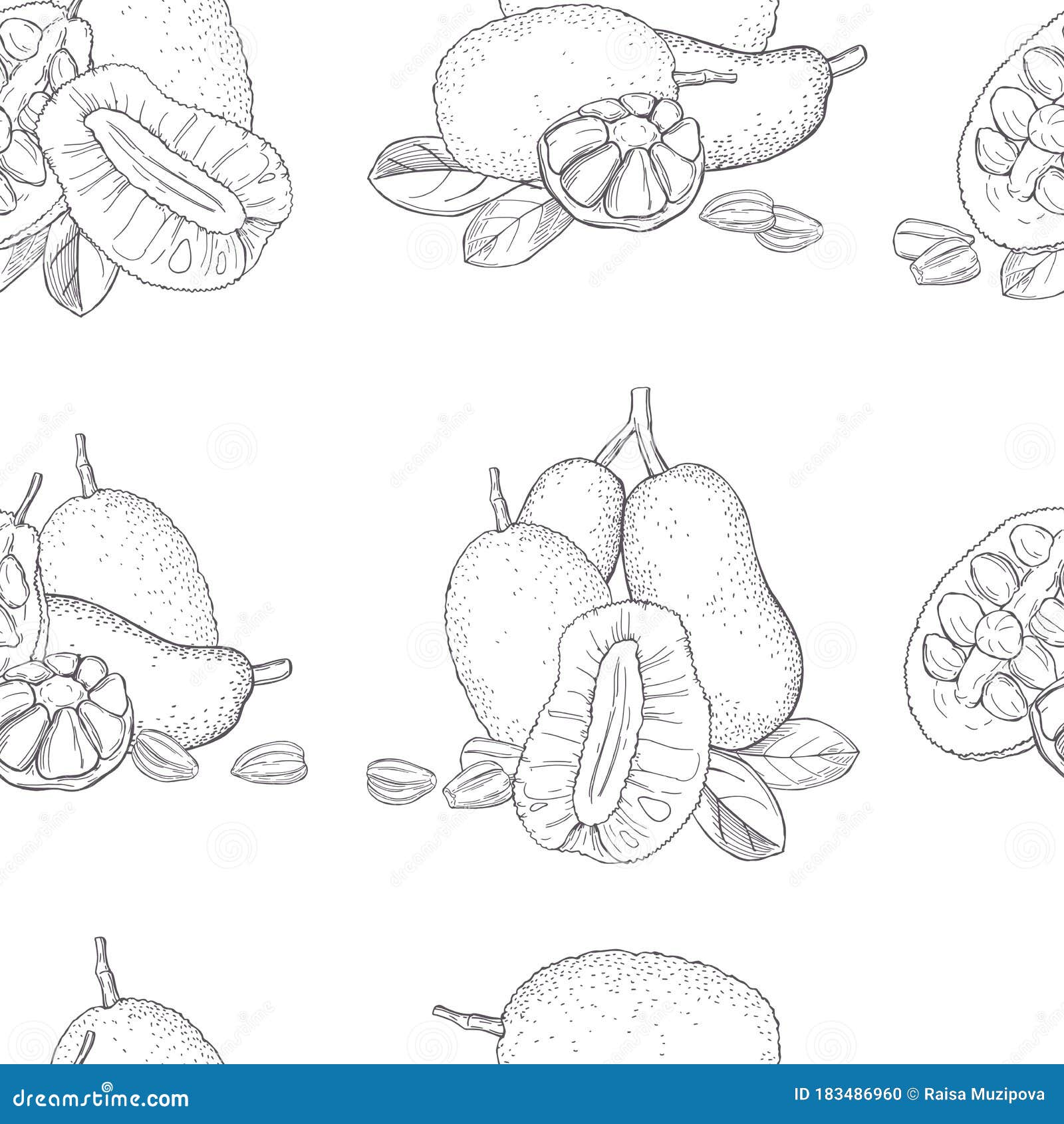 Hand Drawn Breadfruit. Vector Seamless Pattern Stock Vector ...