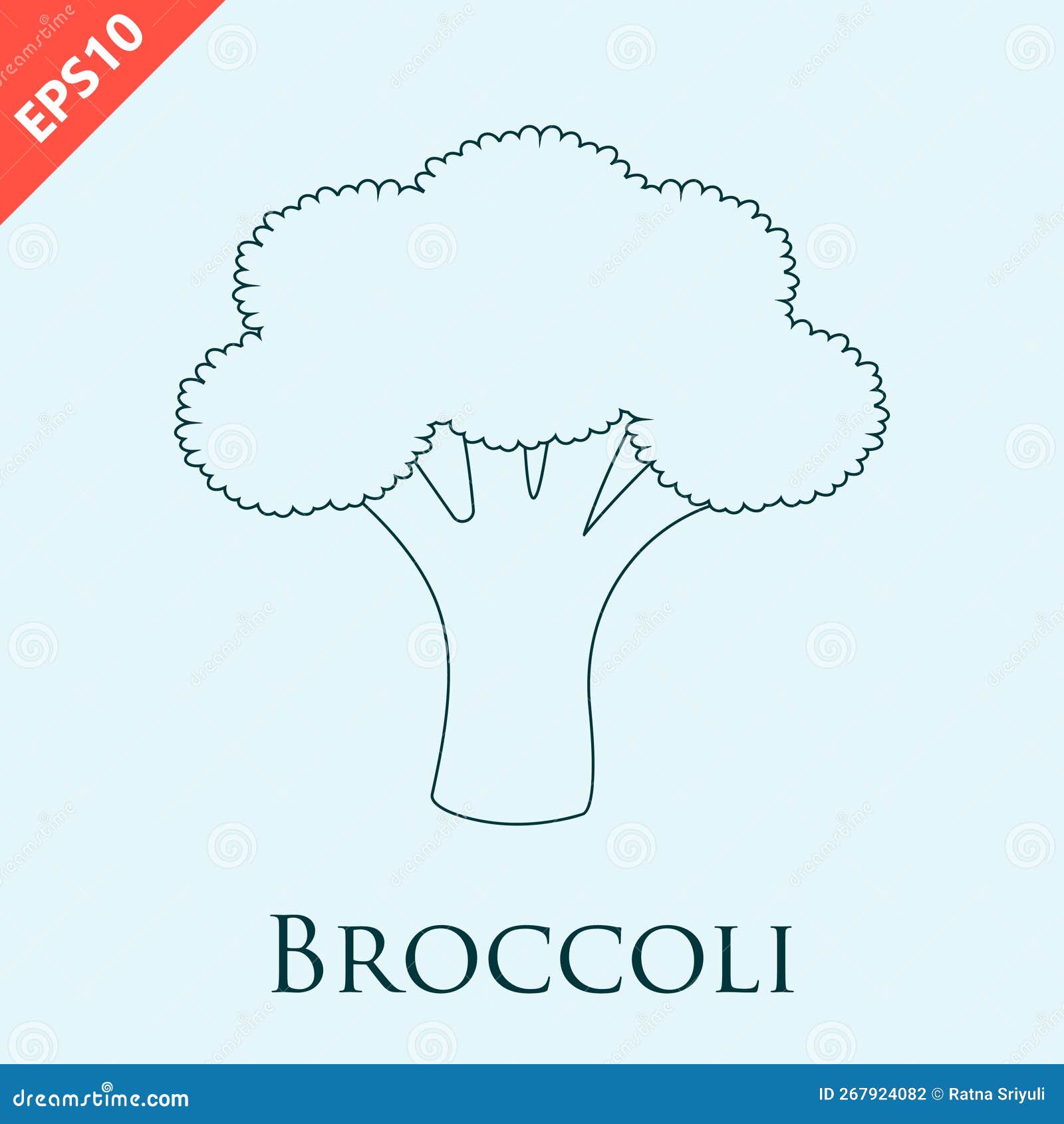 Hand Drawn Broccoli Design Vector Flat Isolated Illustration Stock ...
