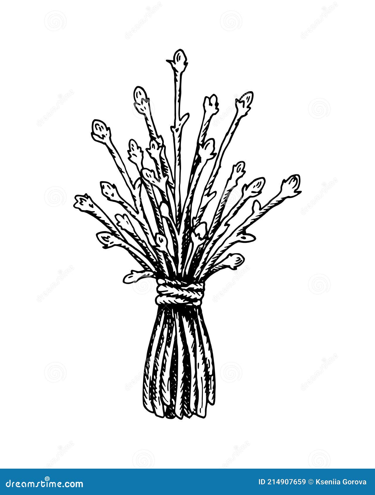 Hand Drawn Bunch of Dry Plants Isolated on White. Vector Illustration ...