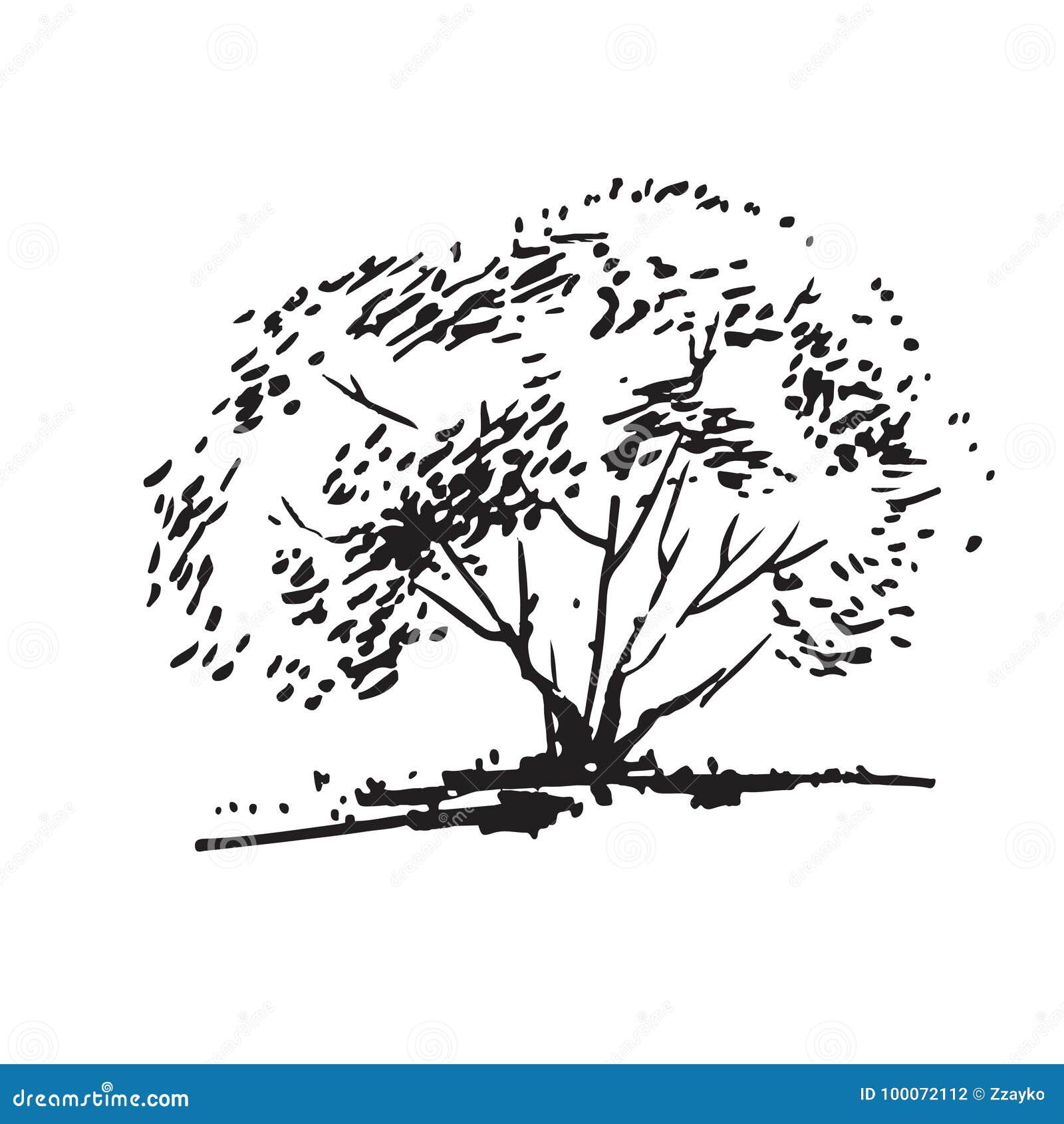 Hand-drawn Bush. Black and White Realistic Image, Sketch Painted with ...