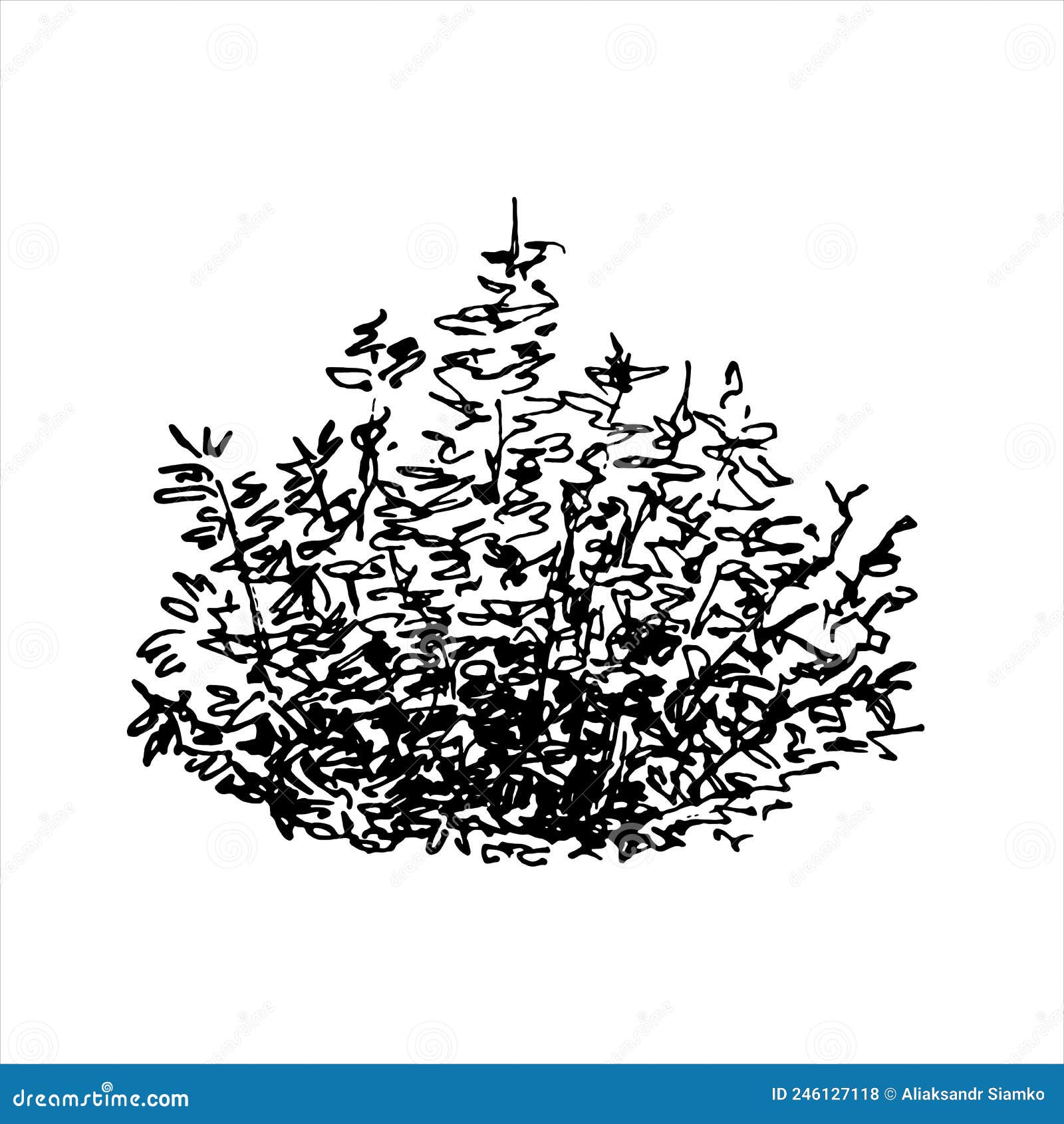 Hand Drawn Bush, Dendrology Sketch Element, Graphic Template Stock ...