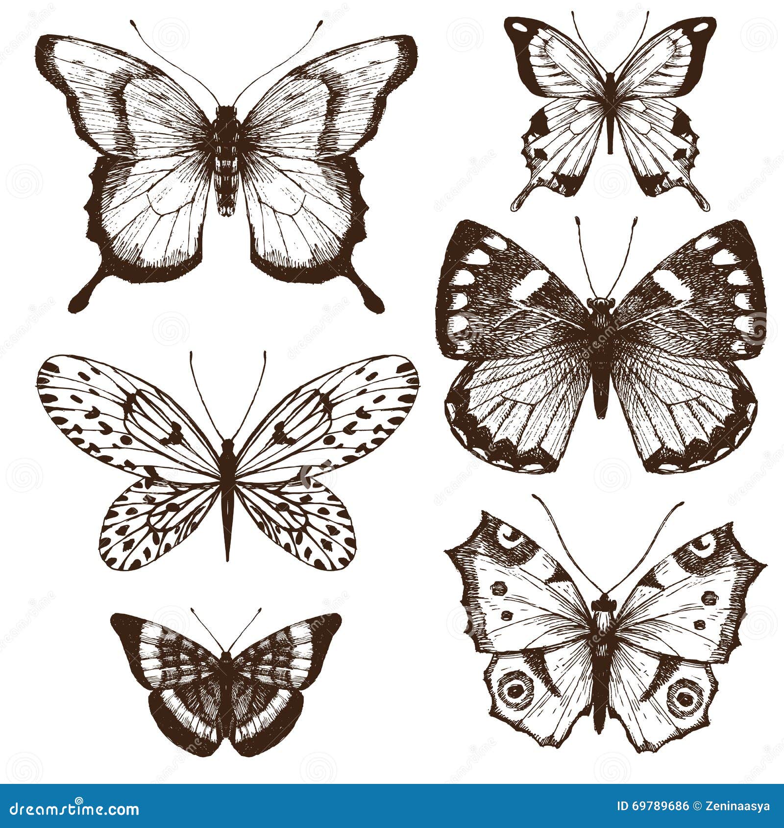 Hand drawn butterflies stock vector. Illustration of graphic - 69789686
