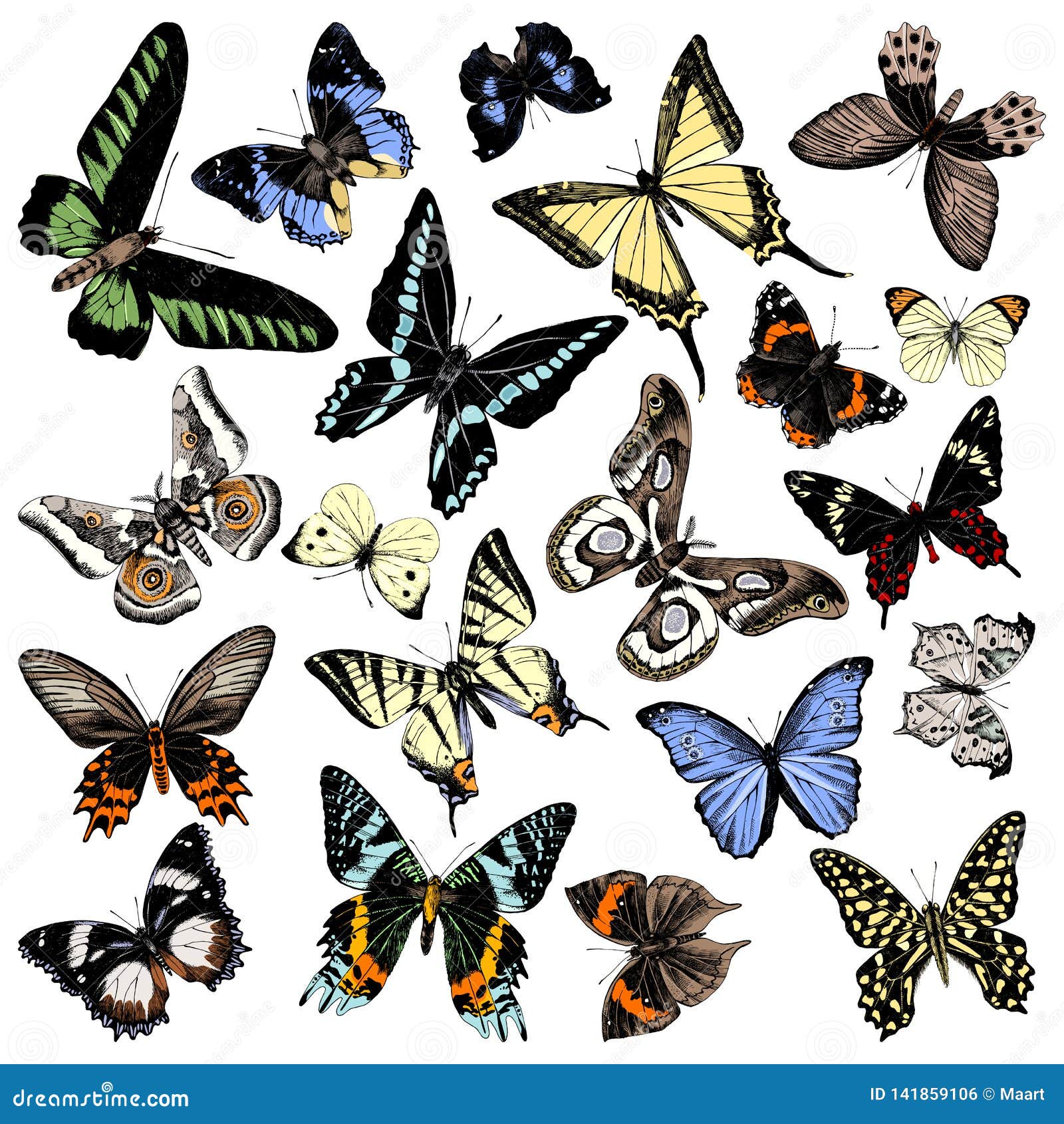 Hand Drawn Butterflies Collection Stock Vector - Illustration of drawn ...