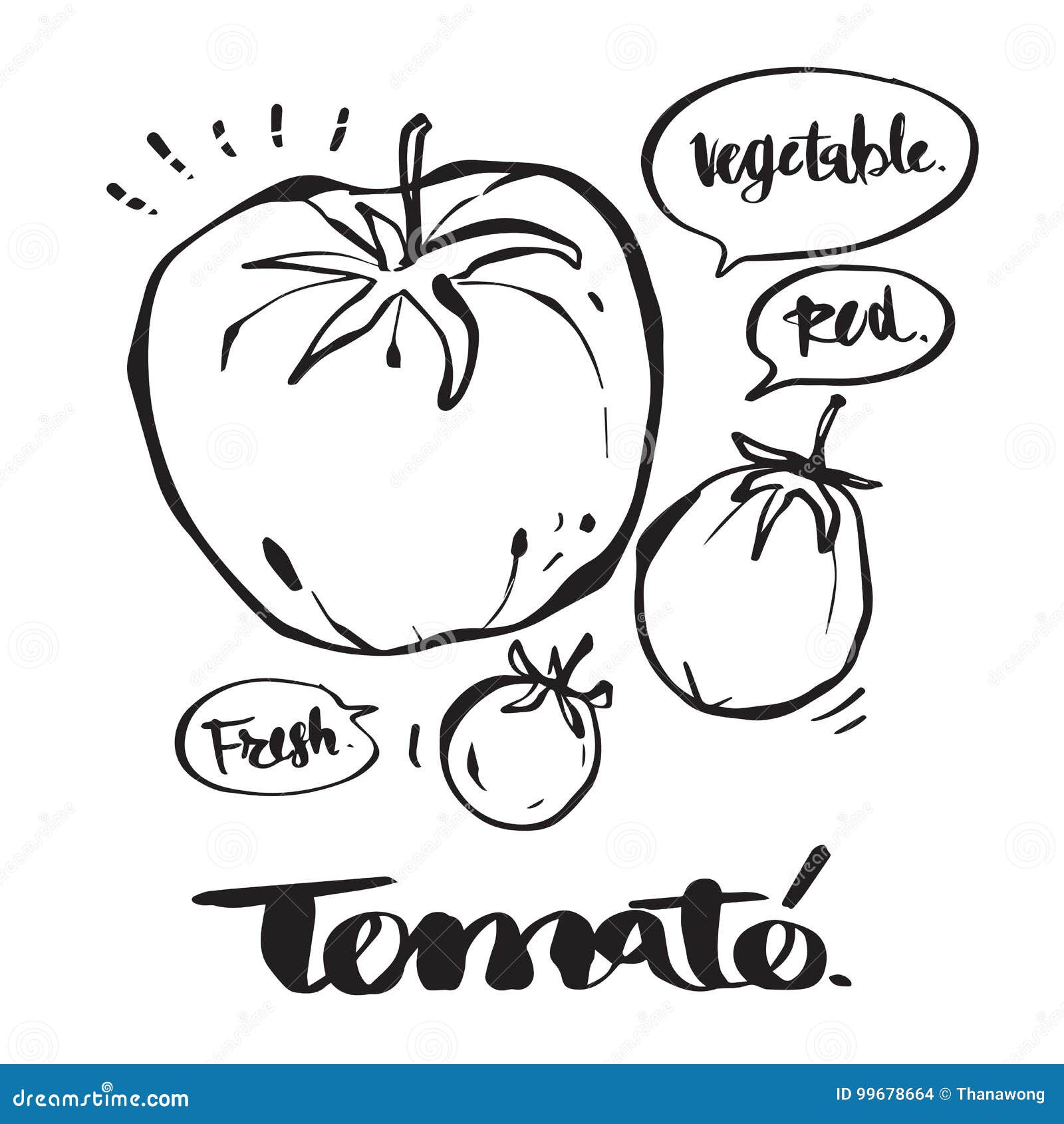 Hand Drawn Caligraphy in Tomato, Lettering, Calligraphy Stock ...