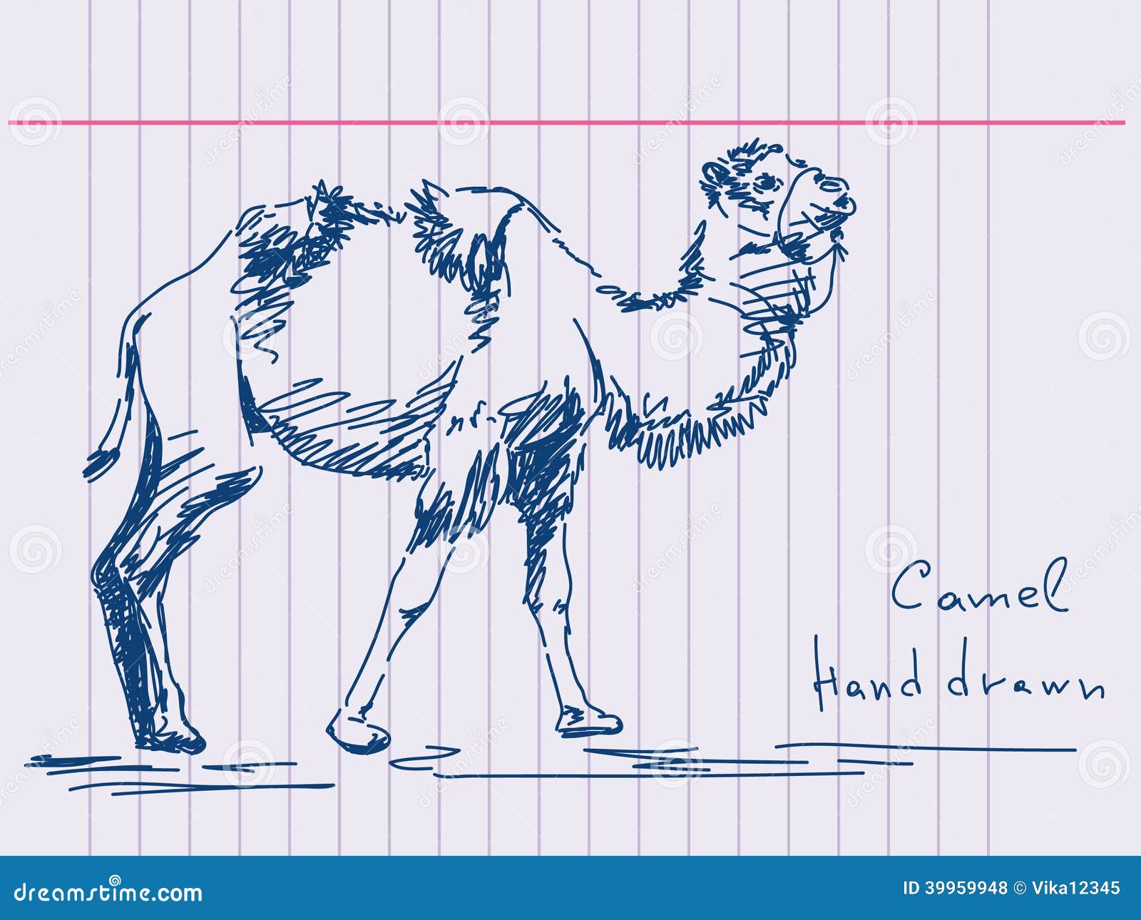 Hand drawn camel stock vector. Illustration of draw, graphics - 39959948