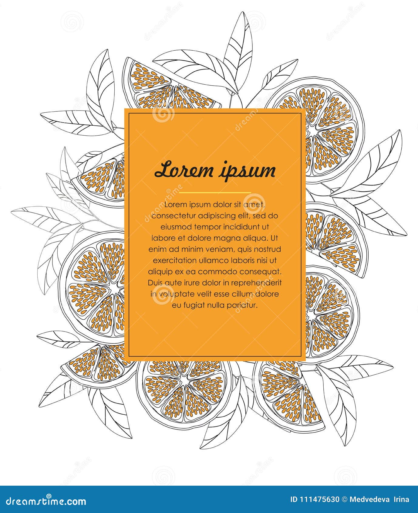 Hand Drawn Card Template with Orange Isolated on White Background ...
