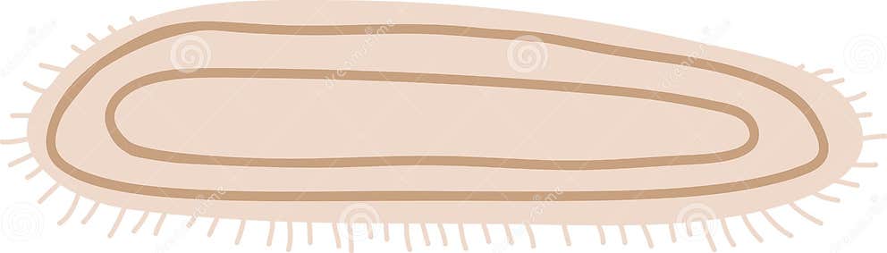 Hand Drawn Carpet stock illustration. Illustration of decorative ...