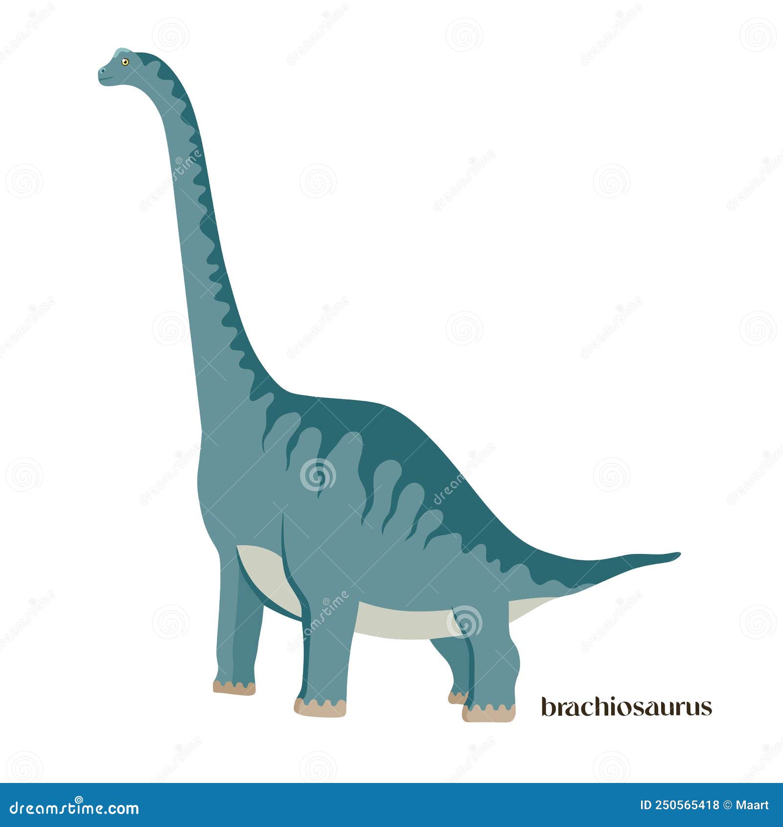 Cartoon Brachiosaurus Standing And Looking At Camera Vector ...