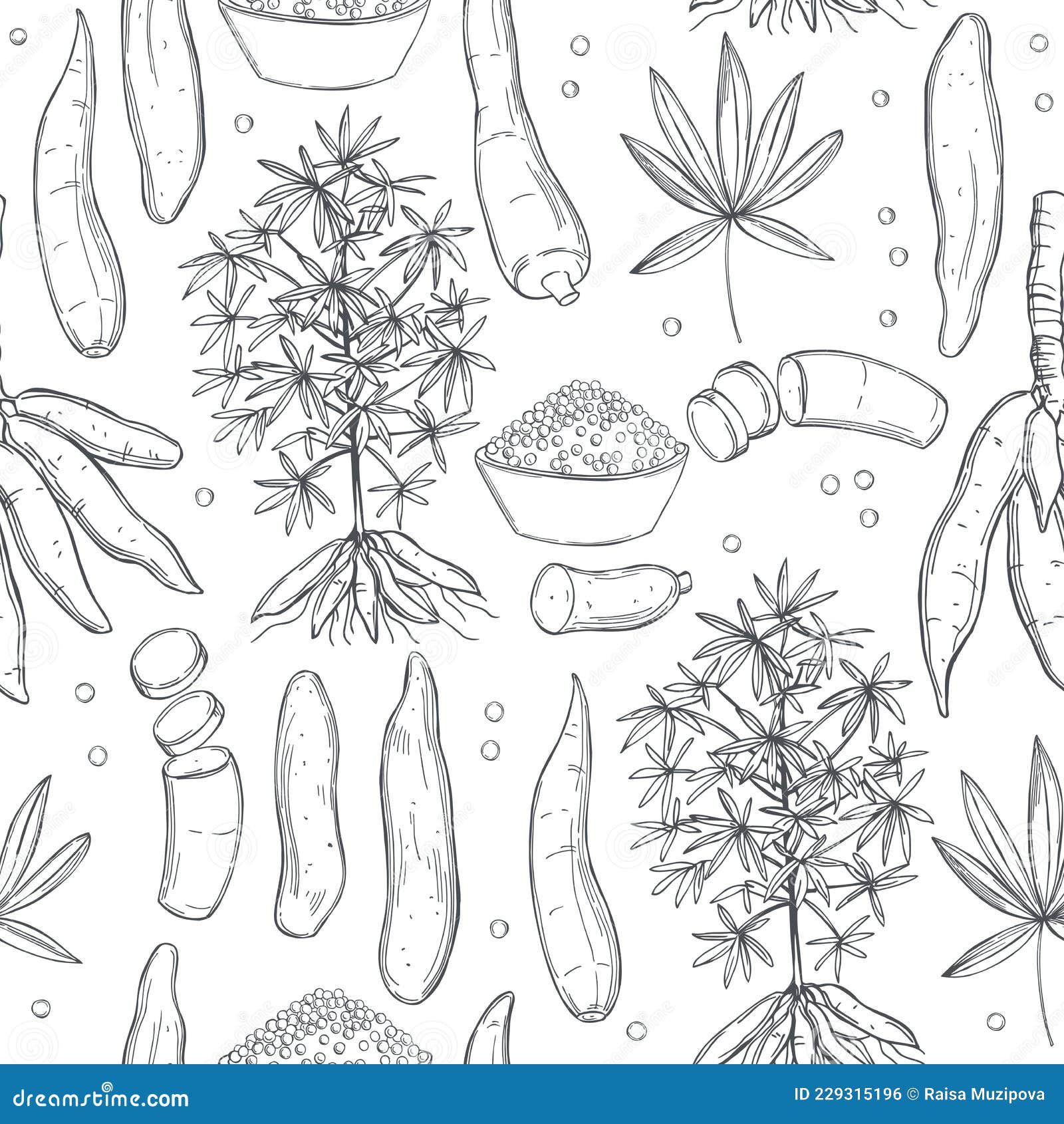 Cassava Manihot Esculenta. Vector Pattern Stock Vector - Illustration ...