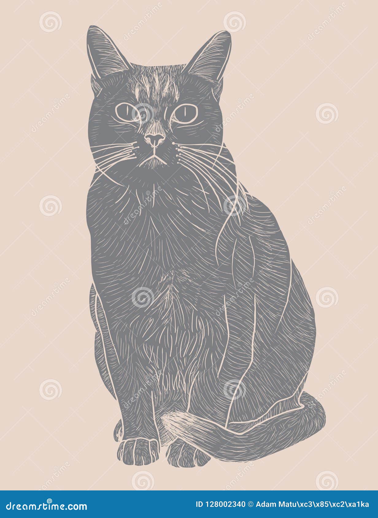 Hand drawn cat stock vector. Illustration of cute, black - 128002340