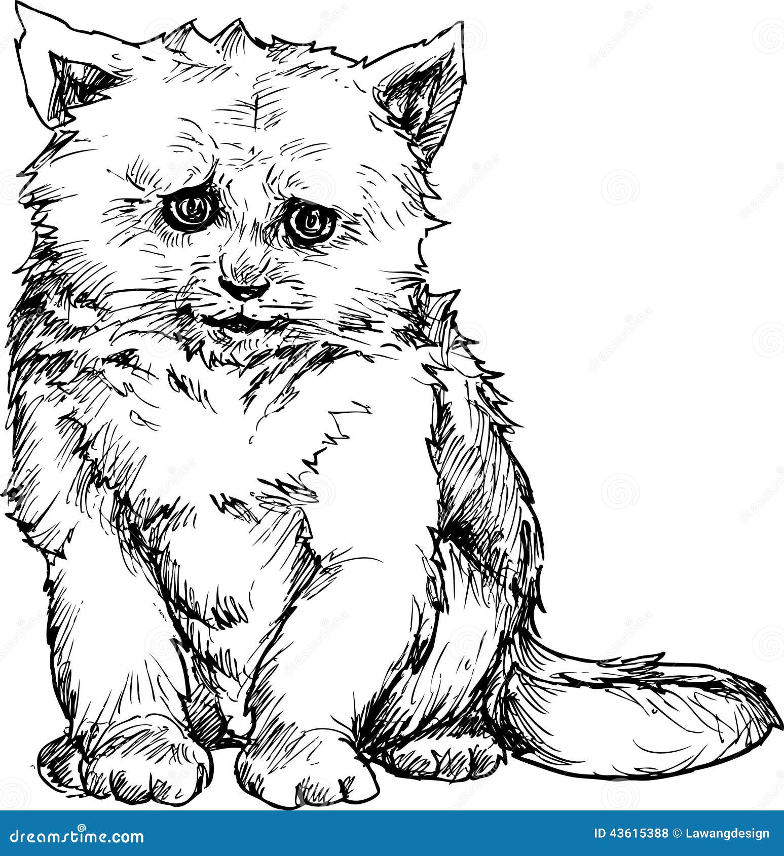 Hand drawn cat stock vector. Illustration of tiger, animal - 43615388