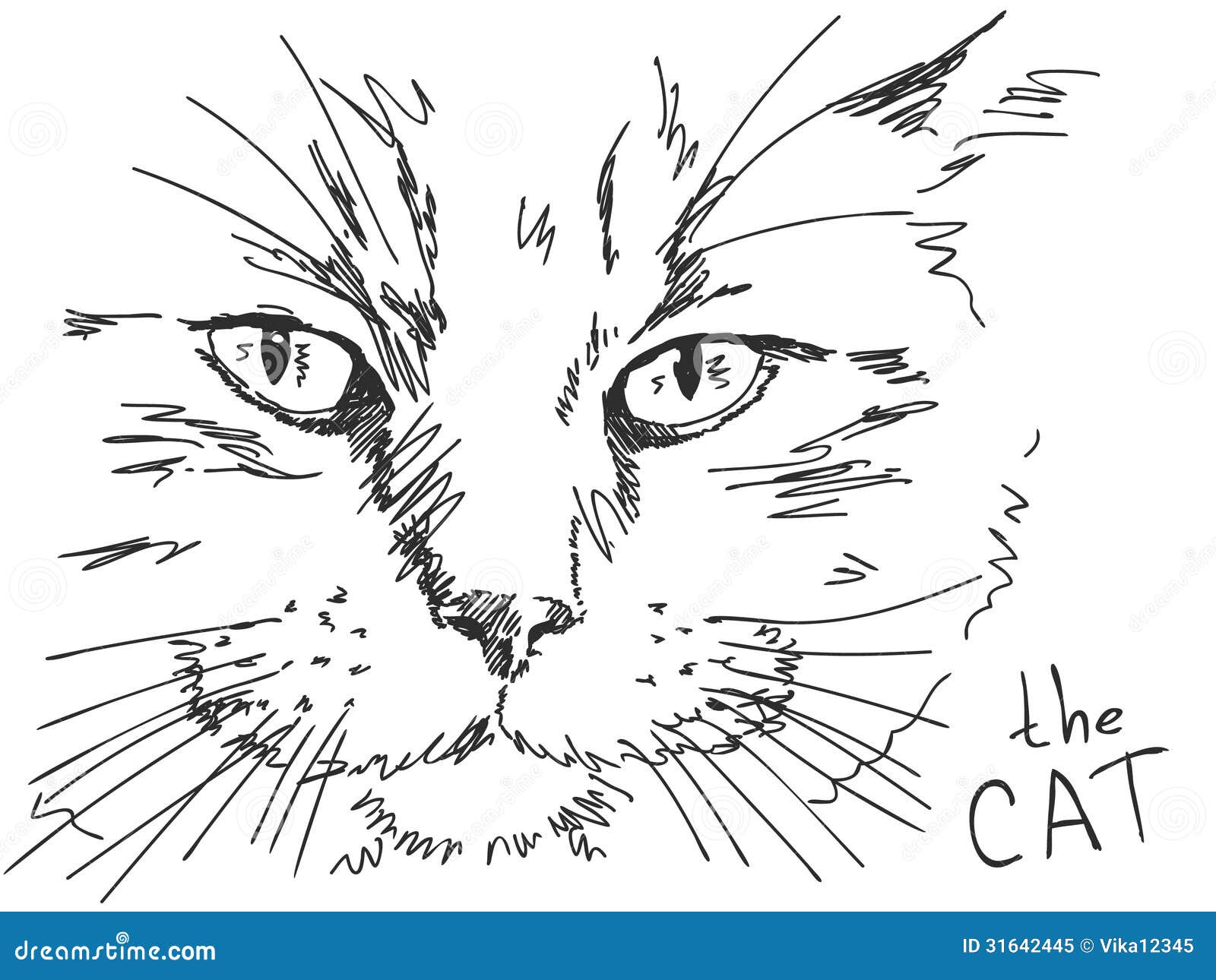 Hand drawn cat stock vector. Illustration of animal, freehand - 31642445