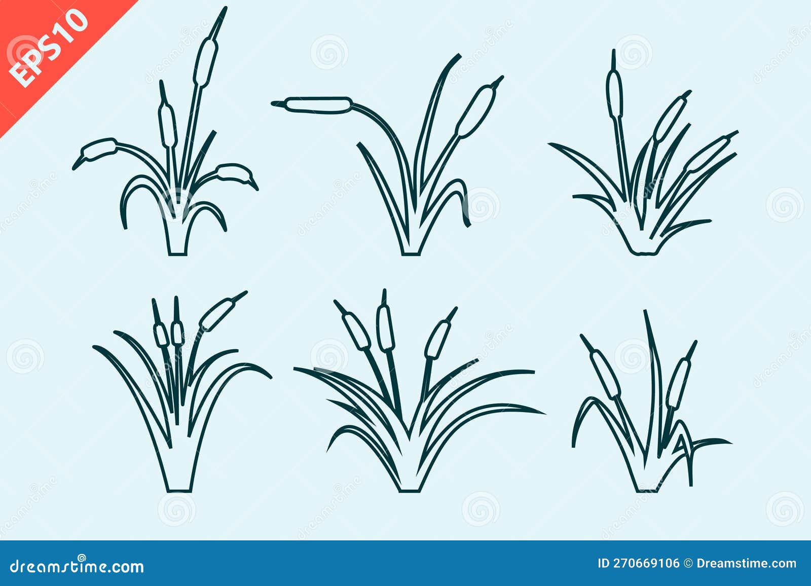 Hand Drawn Cattail Design Vector Isolated Icon Illustration Stock ...