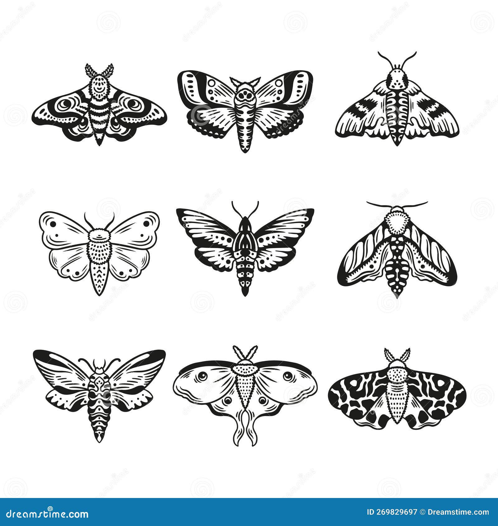 Moth Collection, Hand Draw Sketch Vector | CartoonDealer.com #157876891