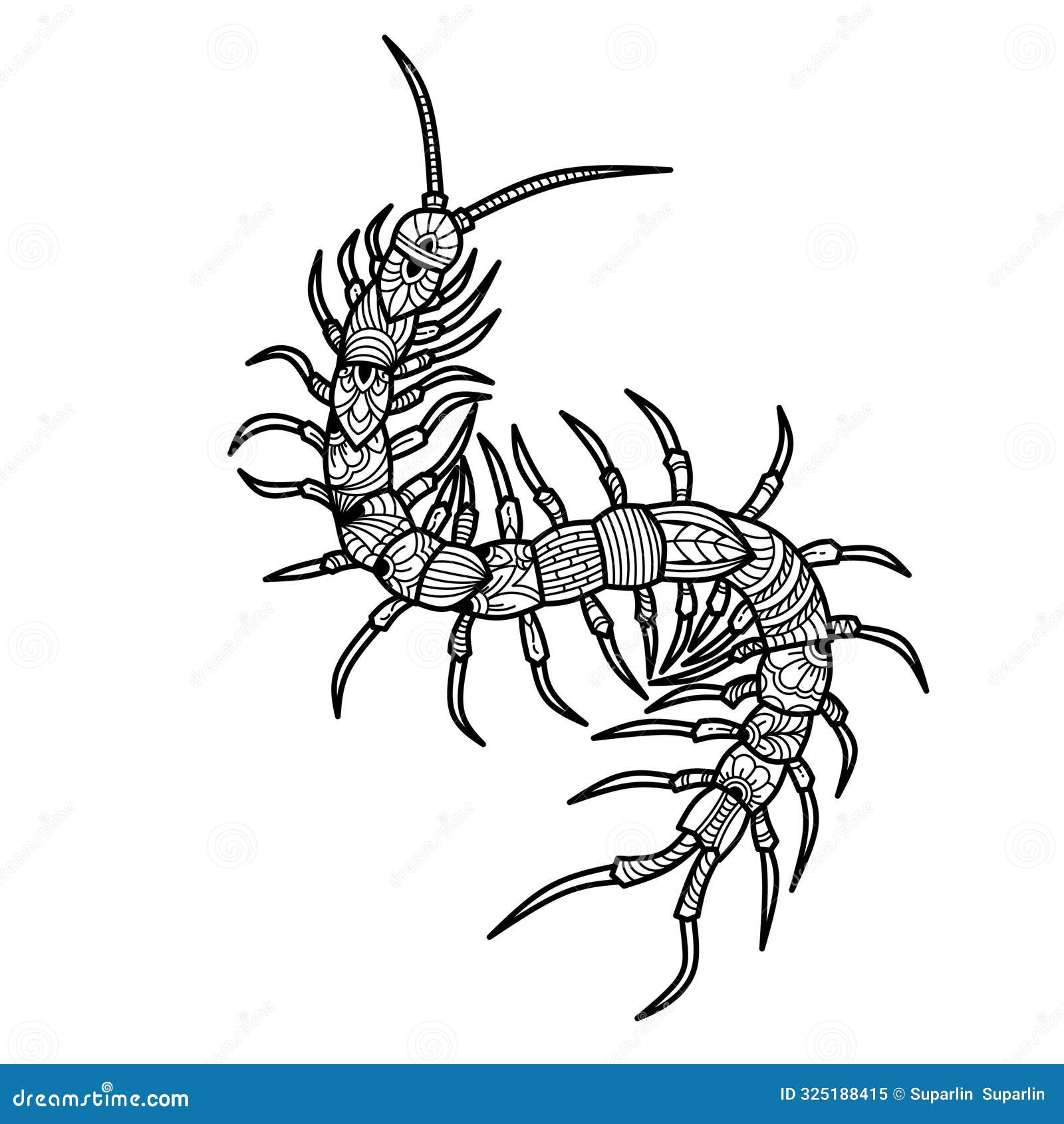 Hand Drawn of Centipede in Zentangle Style Stock Vector - Illustration ...