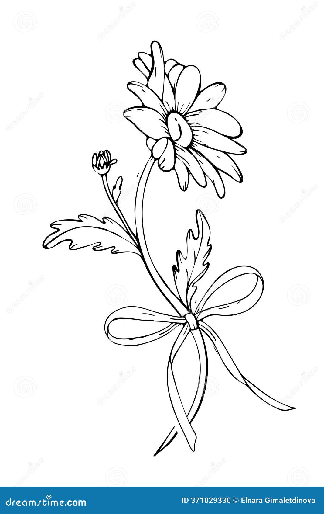 Illustration Of Stem Cell Signaling Pathways, Flowchart On White ...