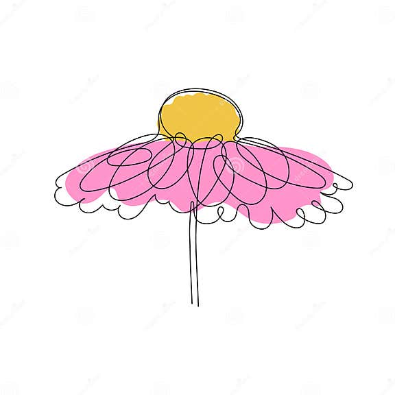 Hand Drawn Chamomile Flower One Line Art Stylized Daisy Continuous