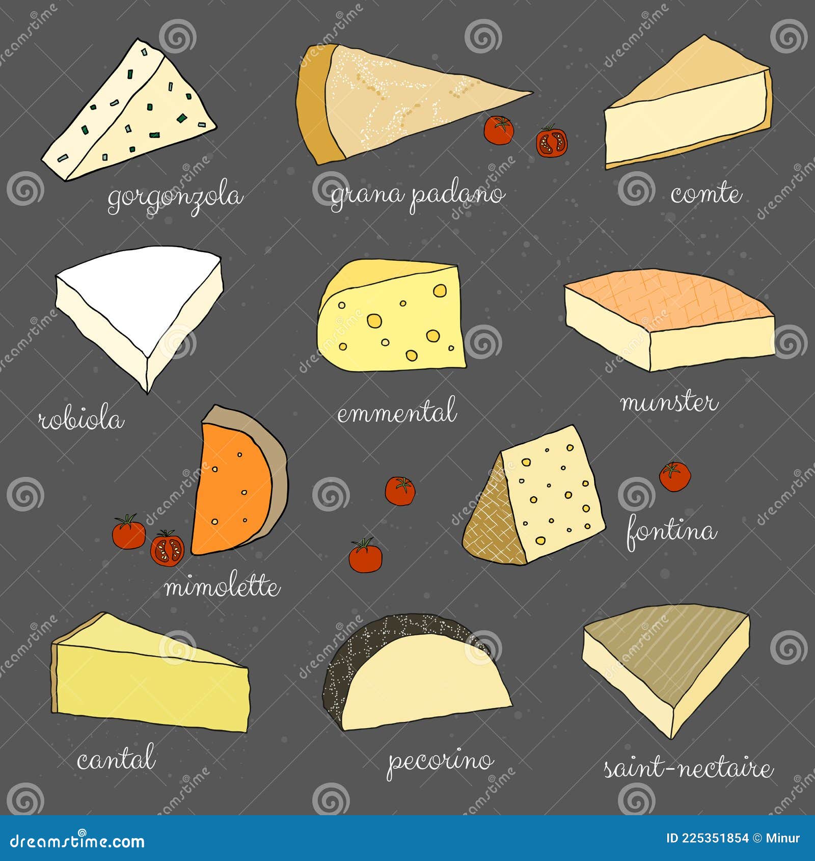 Hand drawn cheese. stock vector. Illustration of cuisine - 225351854