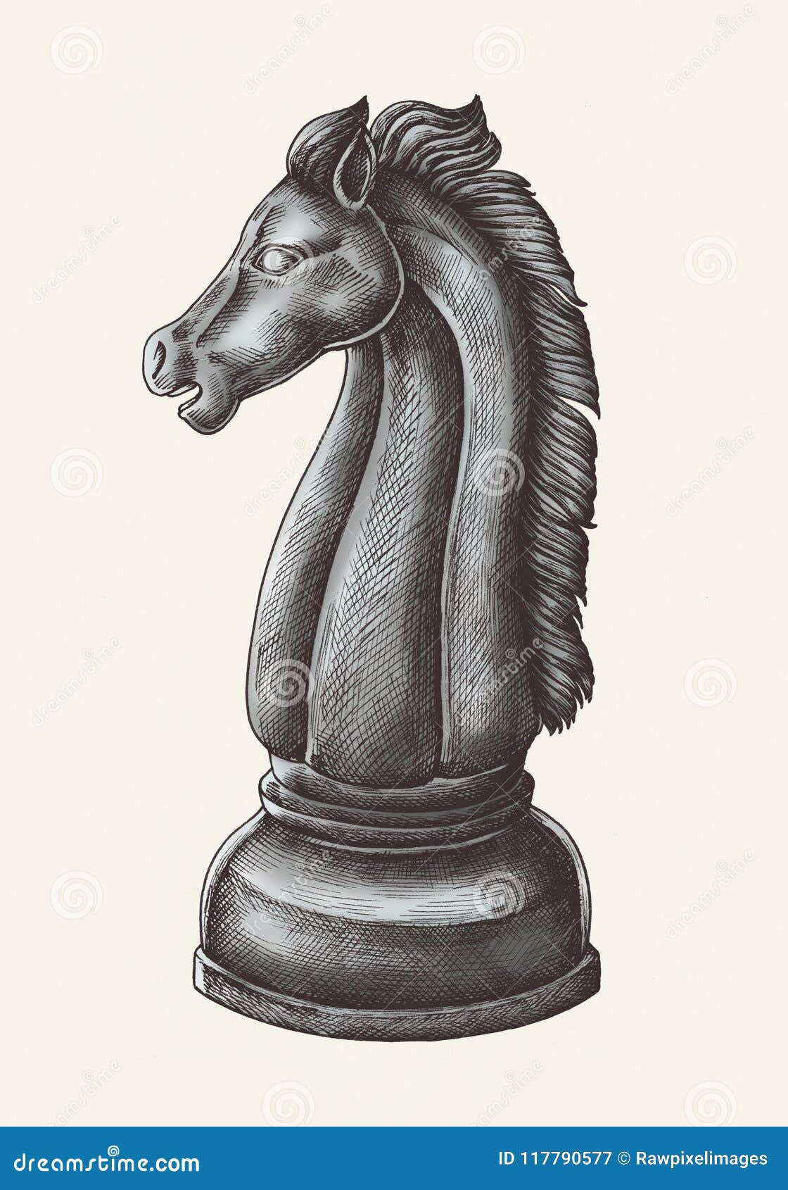 Hand Drawn Chess Knight Illustration Stock Illustration - Illustration ...