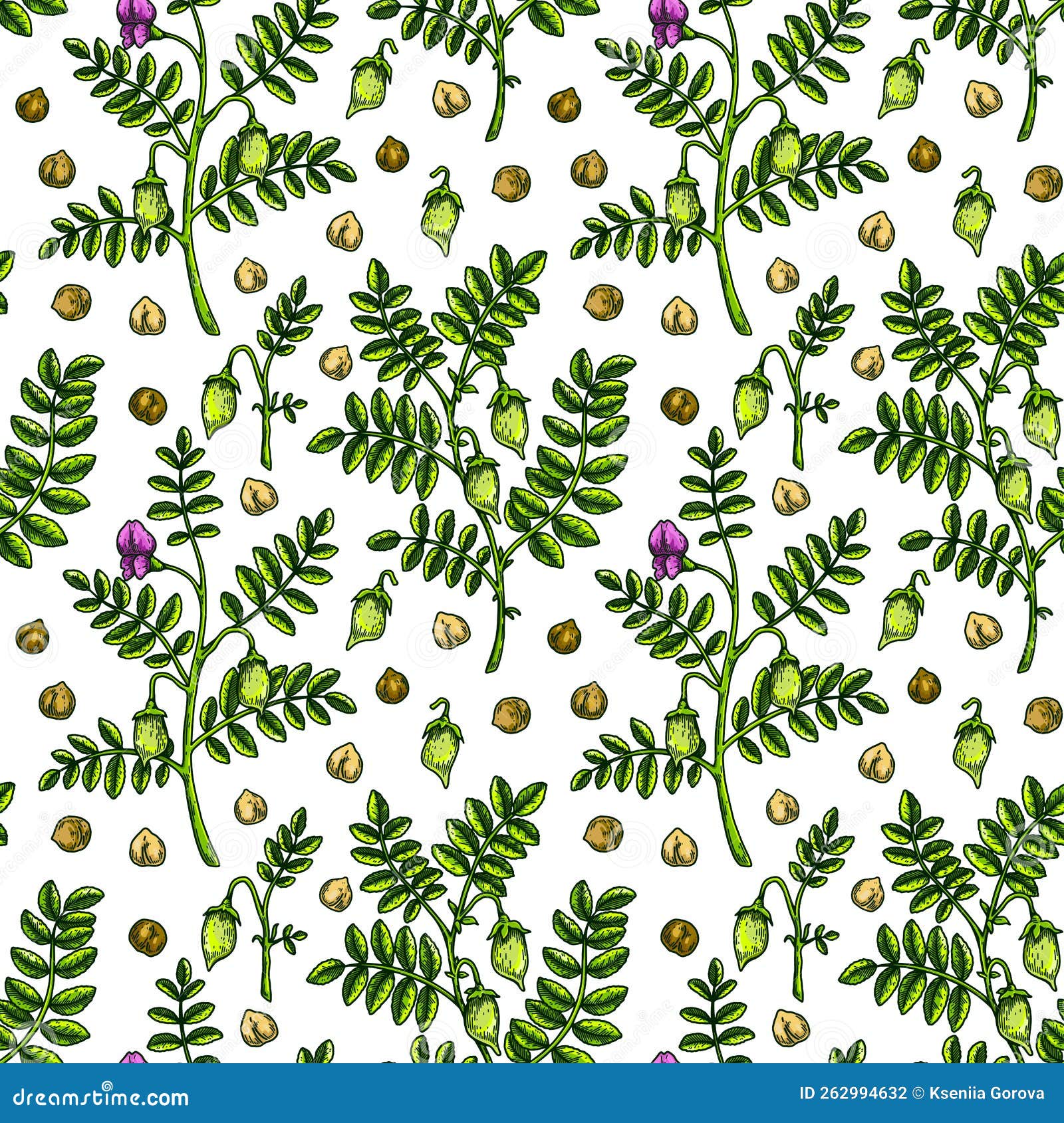 Hand Drawn Chickpeas Seamless Pattern. Vector Illustration in Colored ...