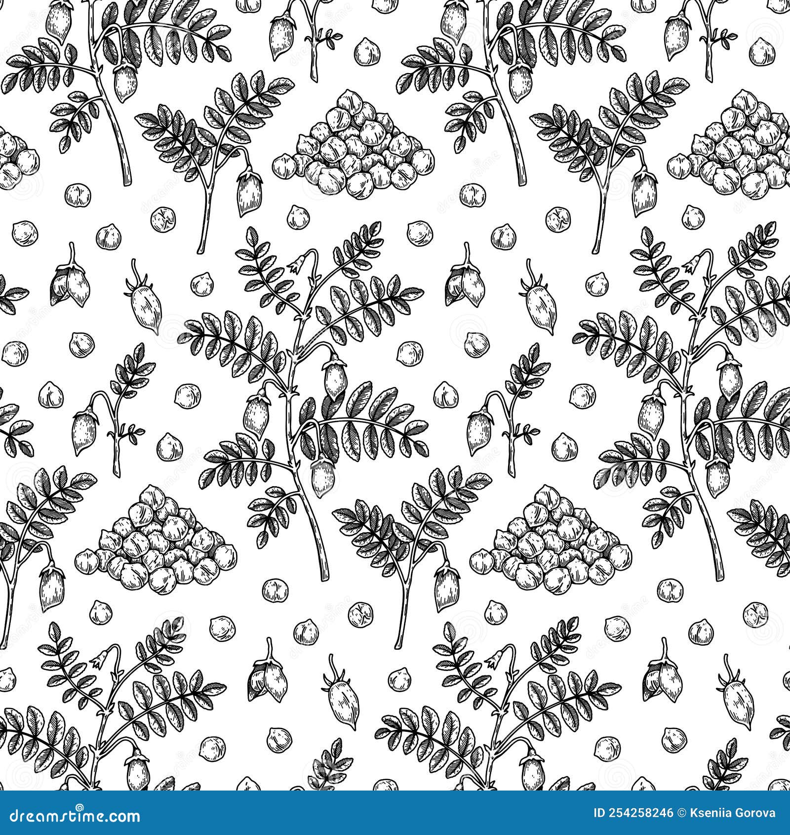 Chickpeas Seamless Pattern. Vector Hand Drawn Illustration ...