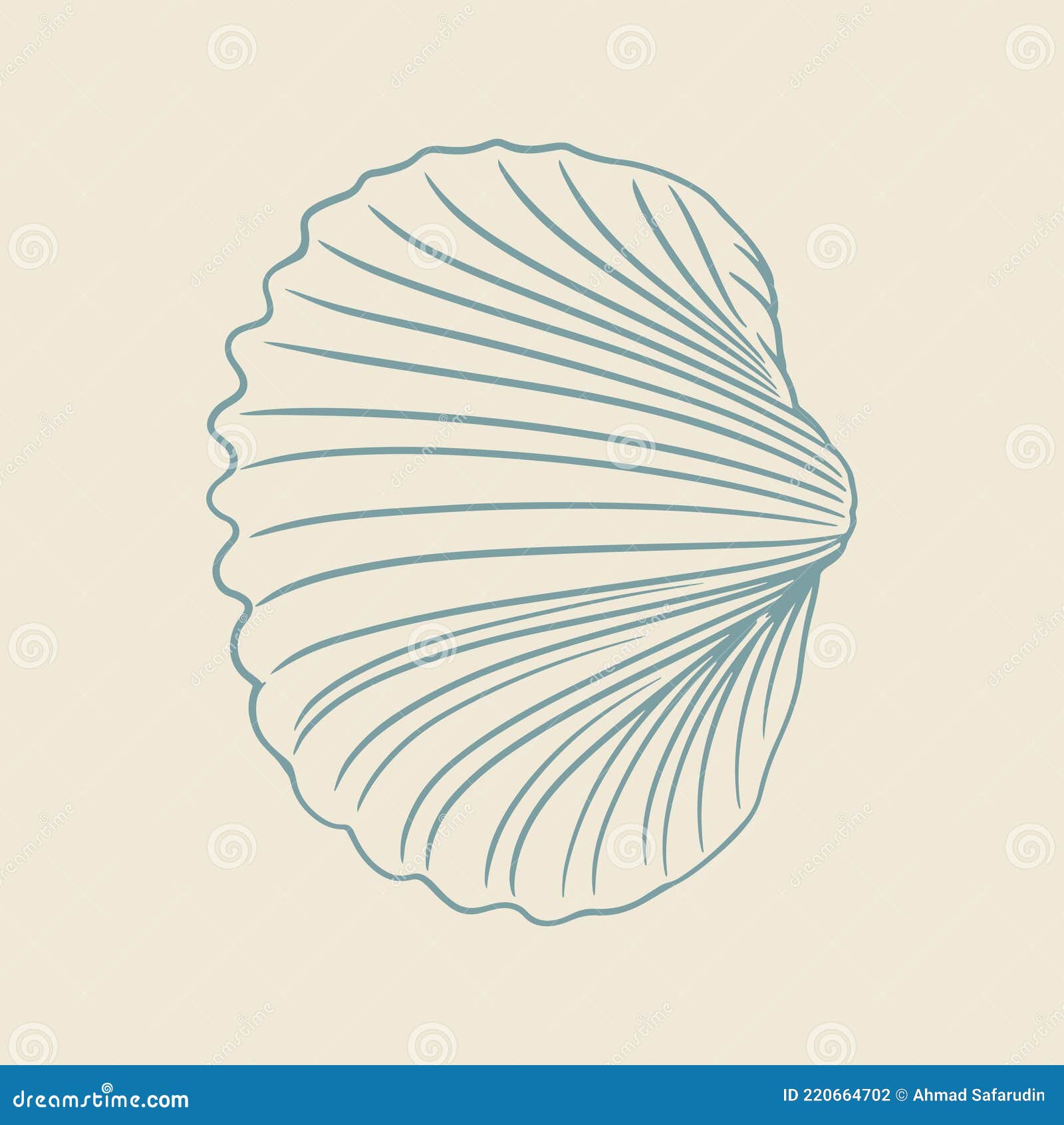 Hand Drawn of Clams. Sketch of Clams Isolated on White Background Stock ...