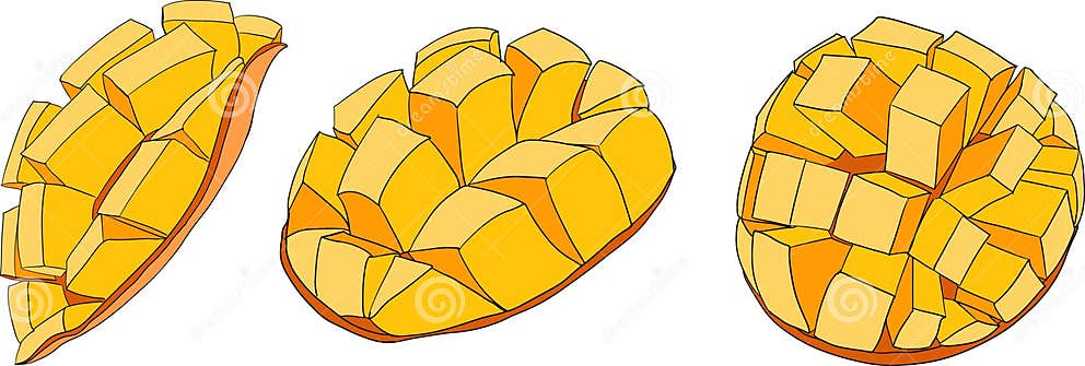 Hand Drawn Colored Mango. Tropical Fruit Vector Illustration Stock ...