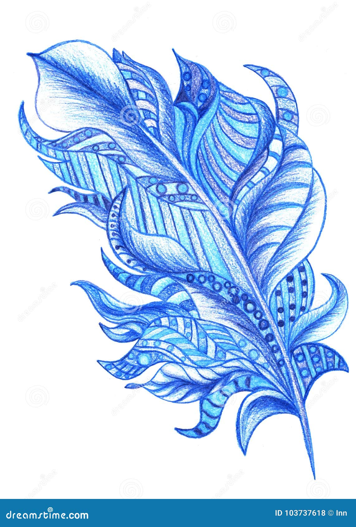 Hand Drawn Colored Pencil Feather Stock Illustration - Illustration of ...