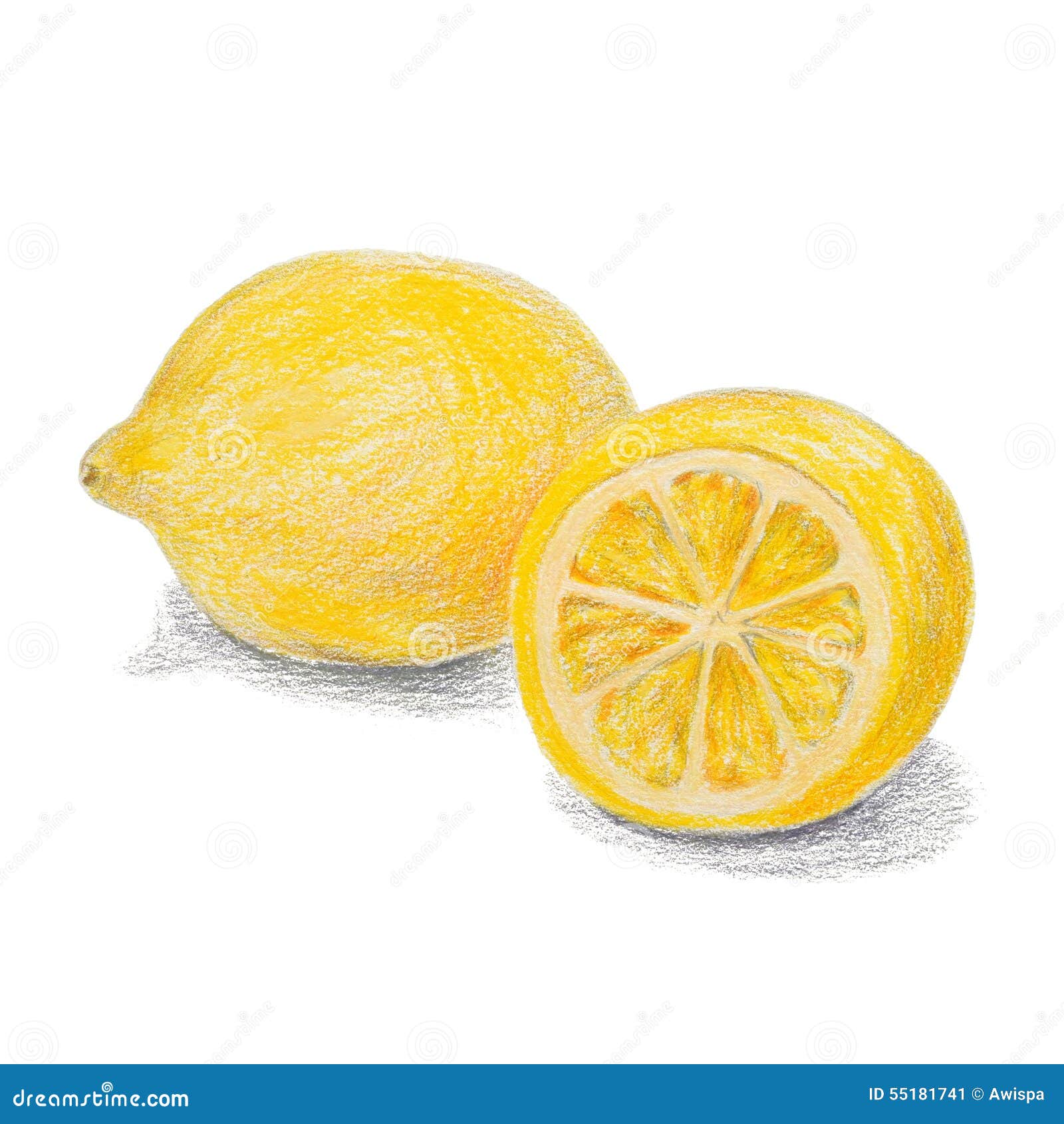 Lemon Sketch. Hand Drawn Oranges Lime, Pencil Drawing Citrus Flowers ...