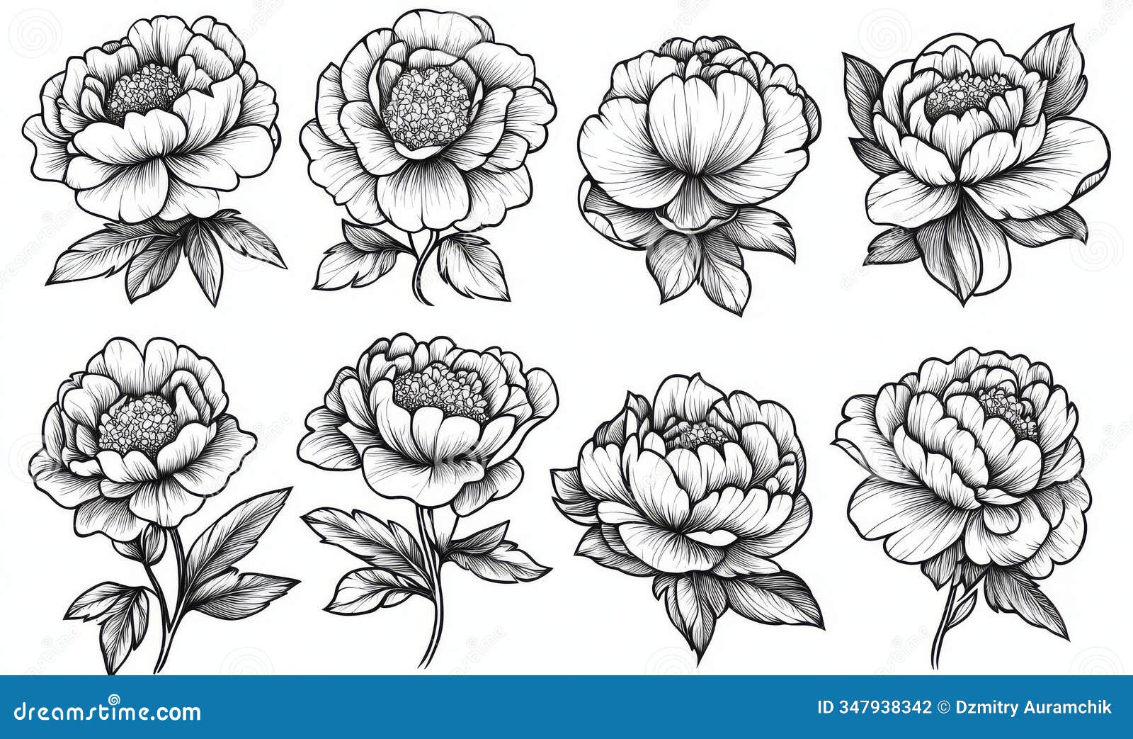 A Hand-drawn Continuous Line Illustration Featuring a Set of Peony ...