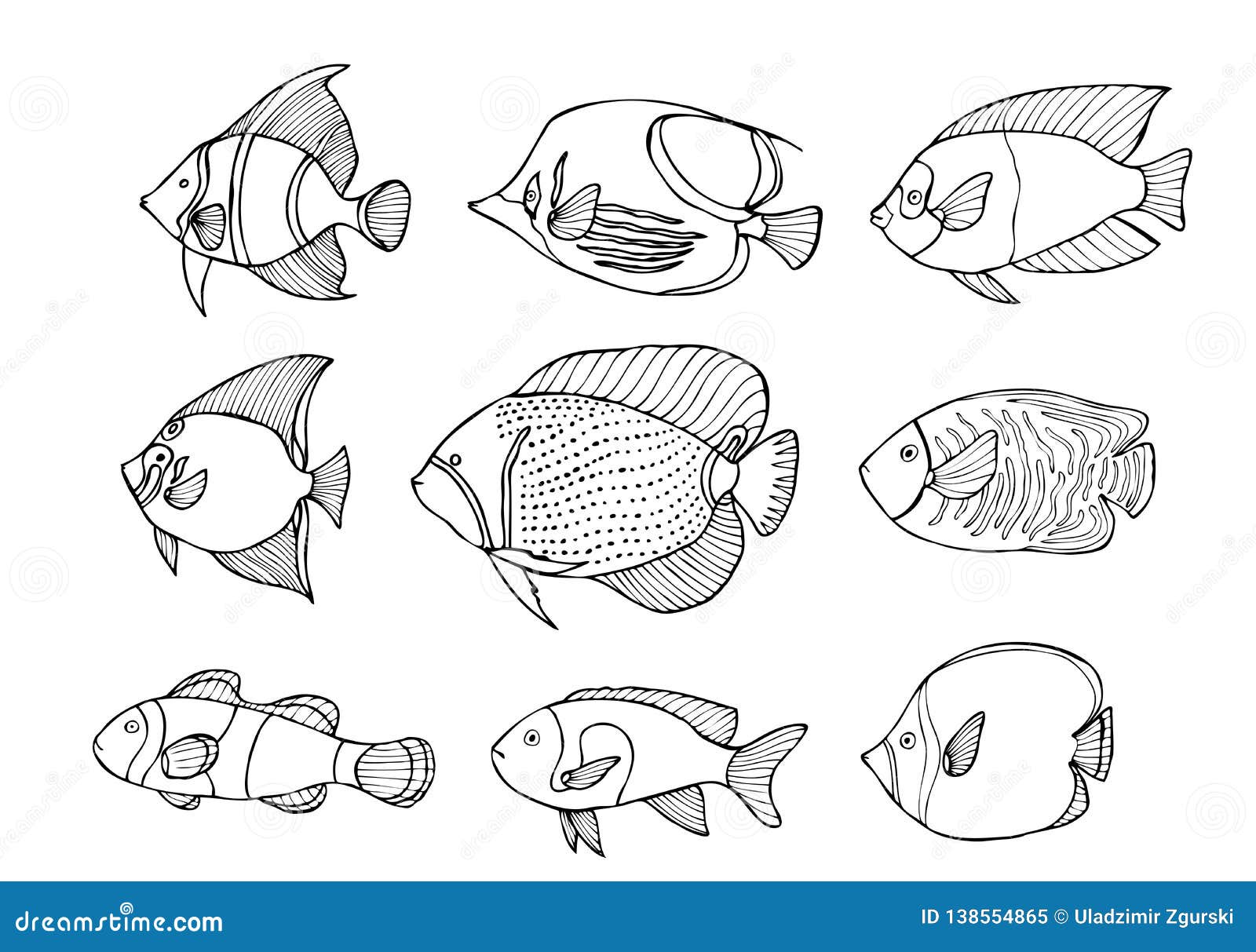 Hand Drawn Coral Fish Set. Isolated on White Stock Vector ...