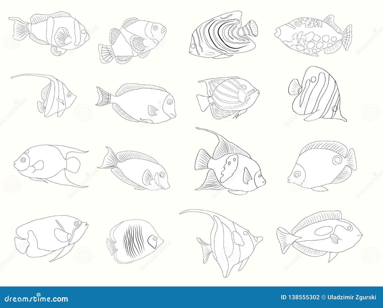 Hand Drawn Coral Fish Set. Isolated on White Stock Vector ...