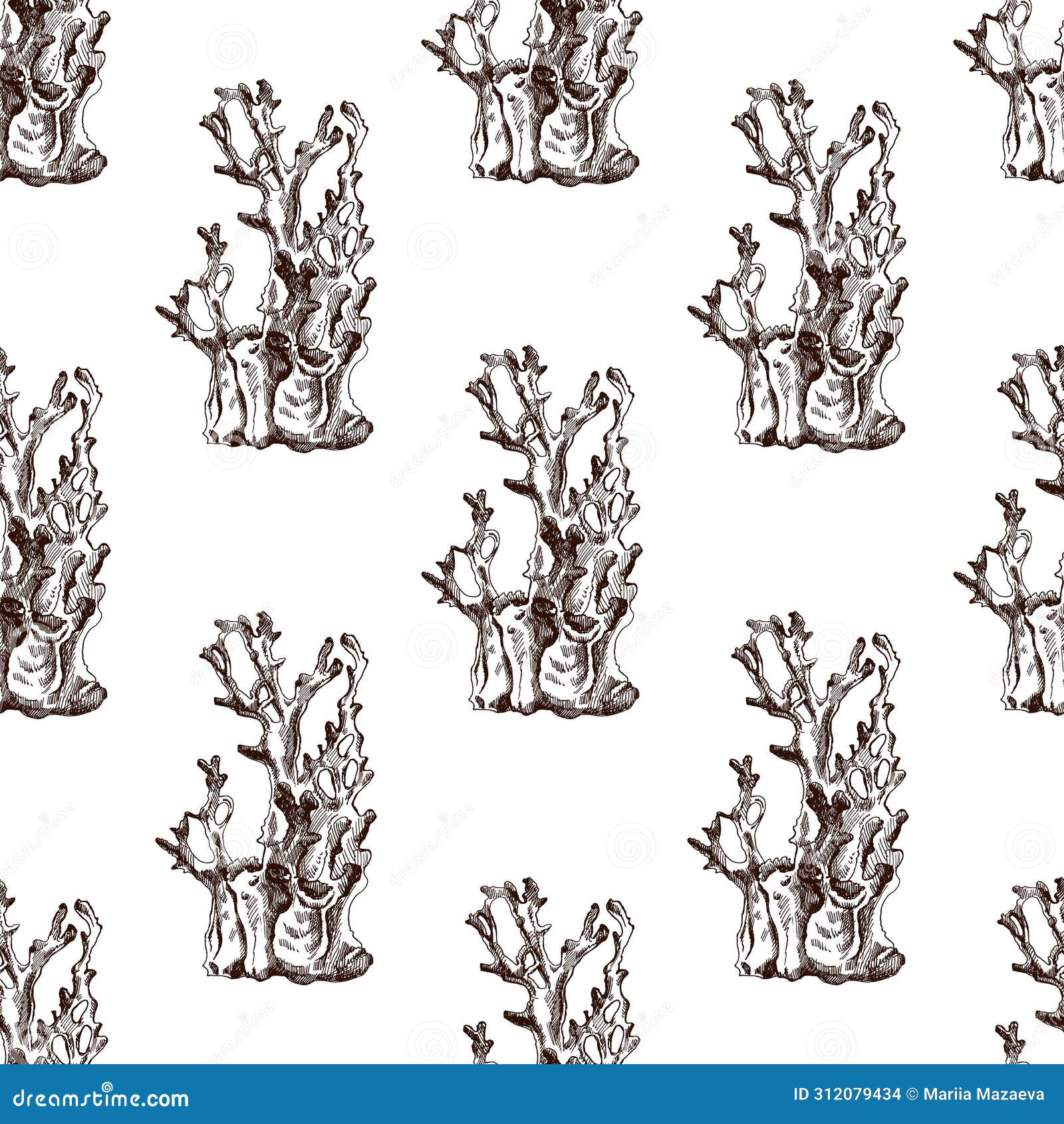 Hand-drawn Coral Seamless Pattern. Underwater Tropical Reef Element ...