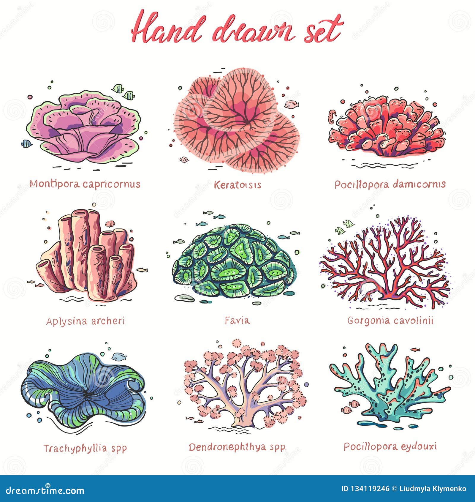 Hand Drawn Corals Set Royalty-Free Stock Image | CartoonDealer.com ...