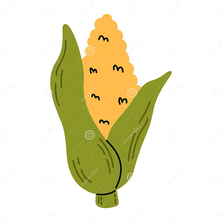 Hand Drawn Corn in Doodle Style. Fresh Diet Vegetable Stock ...