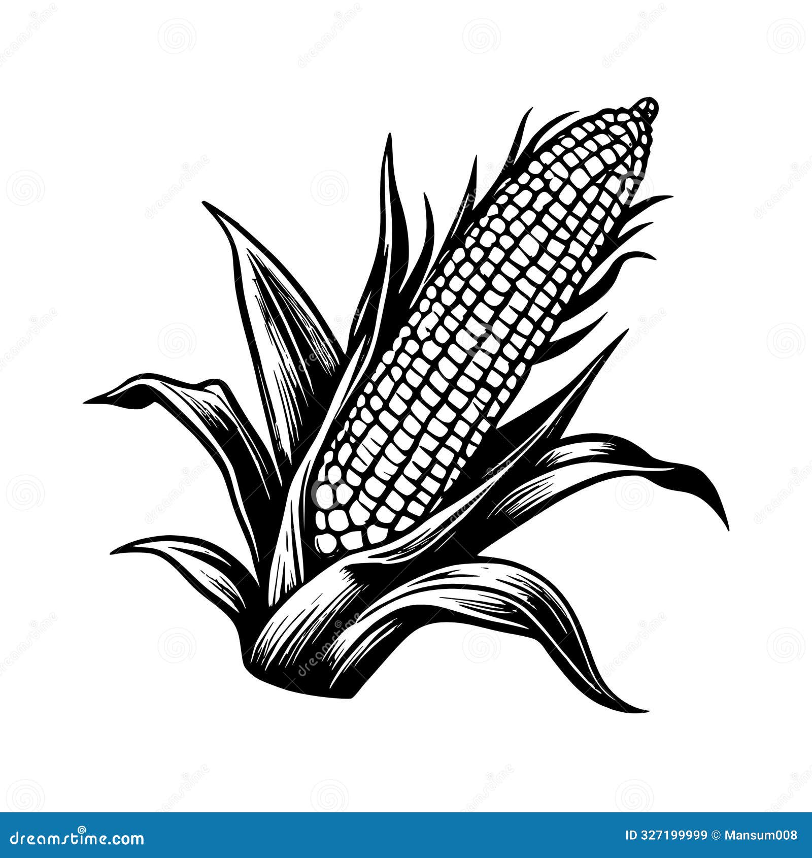 Hand Drawn Corn Sketch. Illustration of Corn Stock Illustration ...