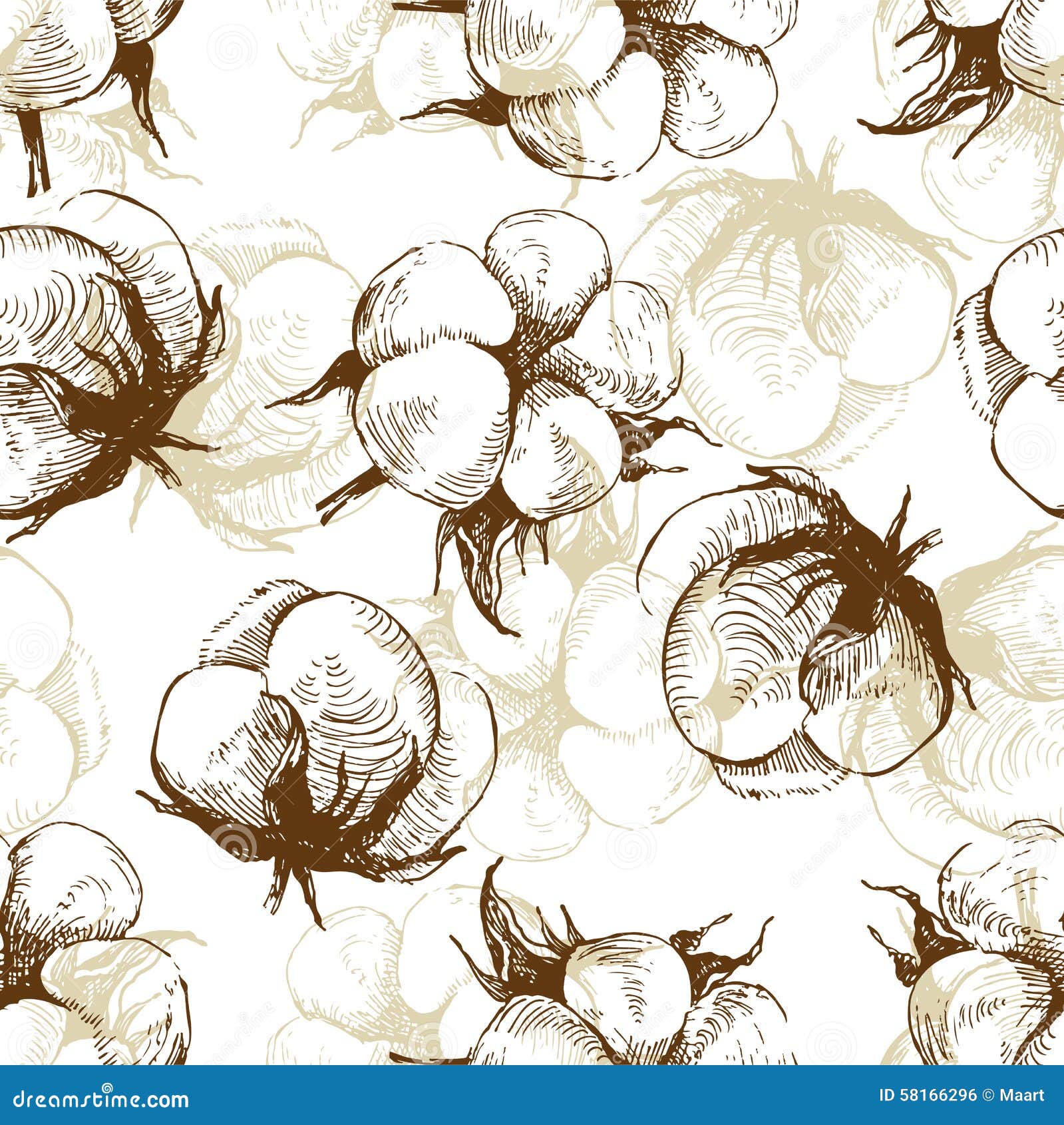 Hand Drawn Cotton Plant Seamless Stock Vector - Illustration of fluffy ...