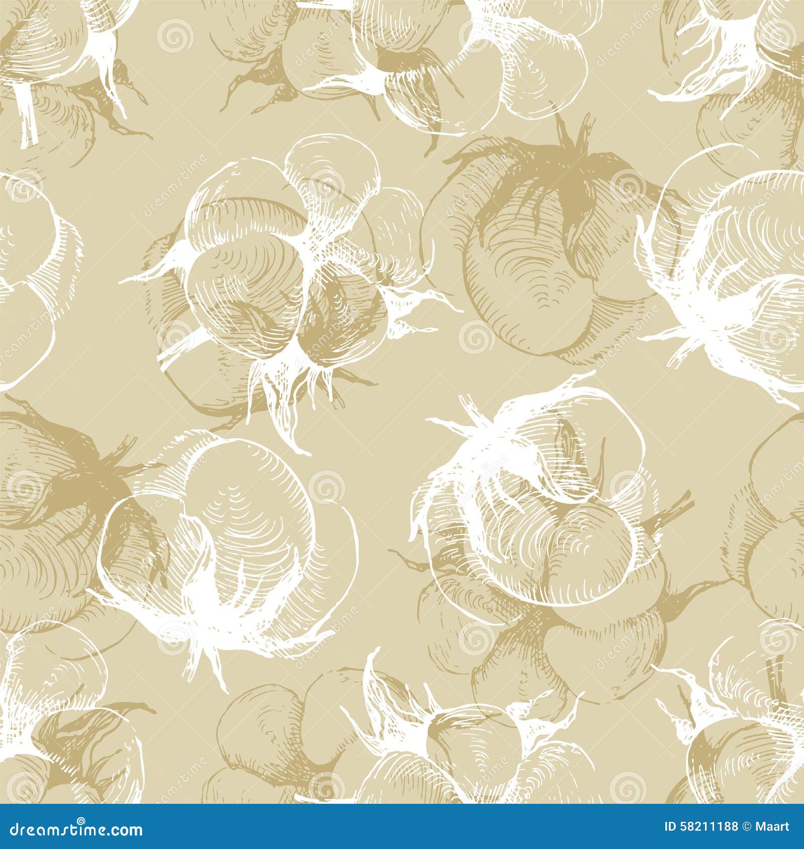 Hand Drawn Cotton Plant Seamless Stock Vector - Illustration of ...