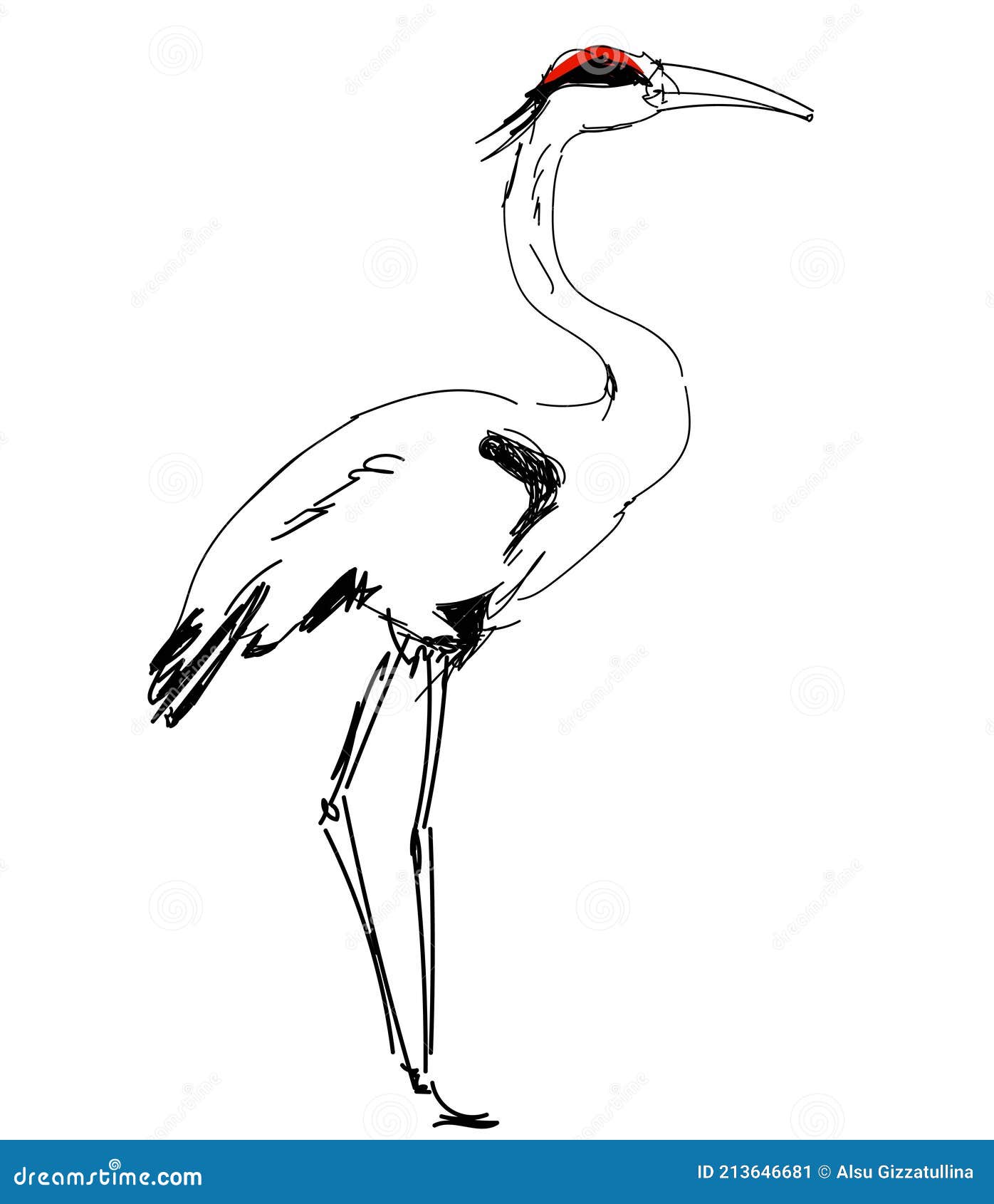 Hand Drawn Crane Bird, Graphic Illustration Bird Nature Vector Art ...