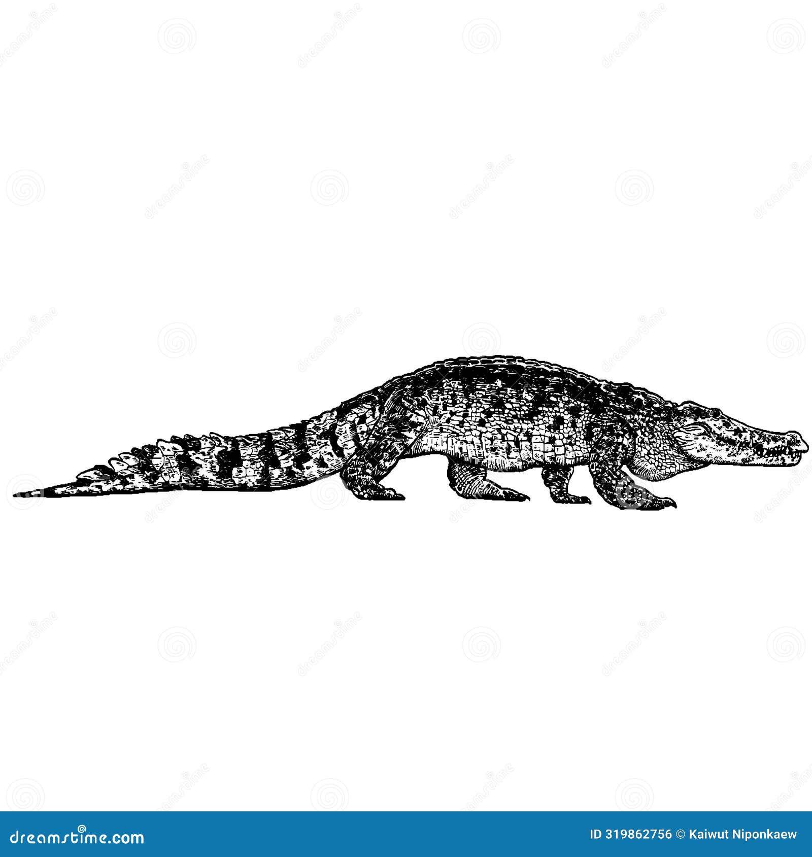 Hand drawn crocodile stock vector. Illustration of lake - 319862756