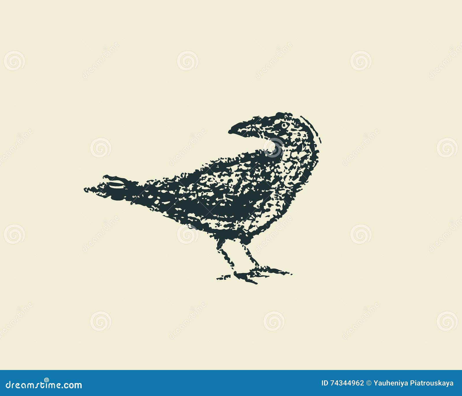 Hand drawn crow stock vector. Illustration of backdrop - 74344962