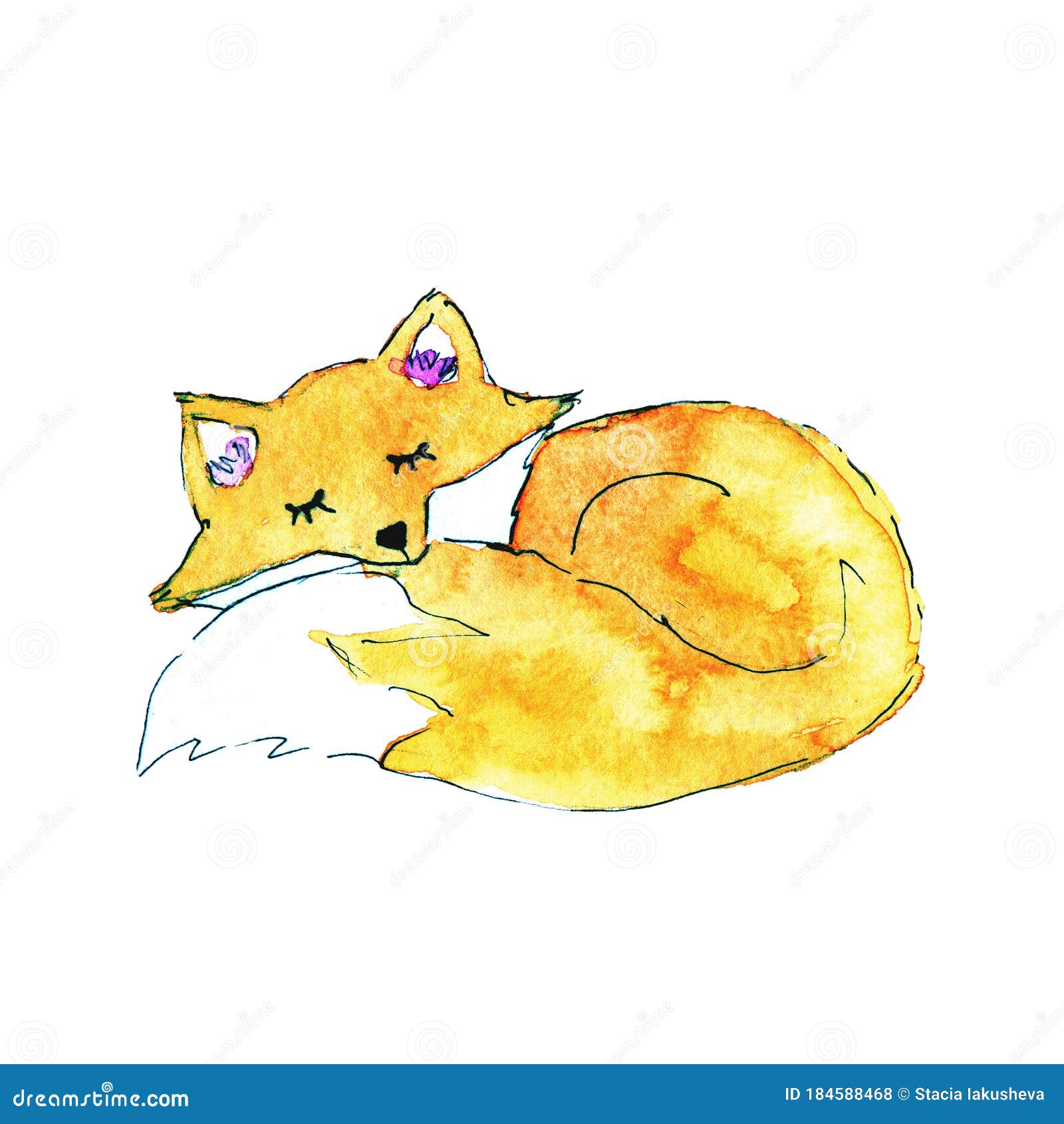 Sleeping Fox Drawing