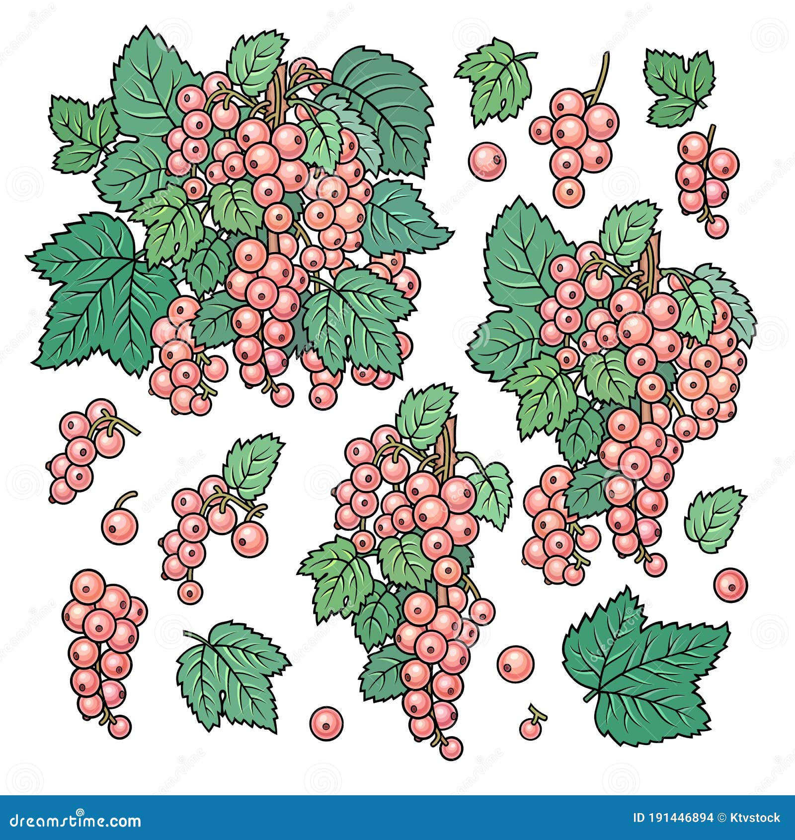 Hand Drawn Currant. Set of Objects Stock Vector - Illustration of leaf ...