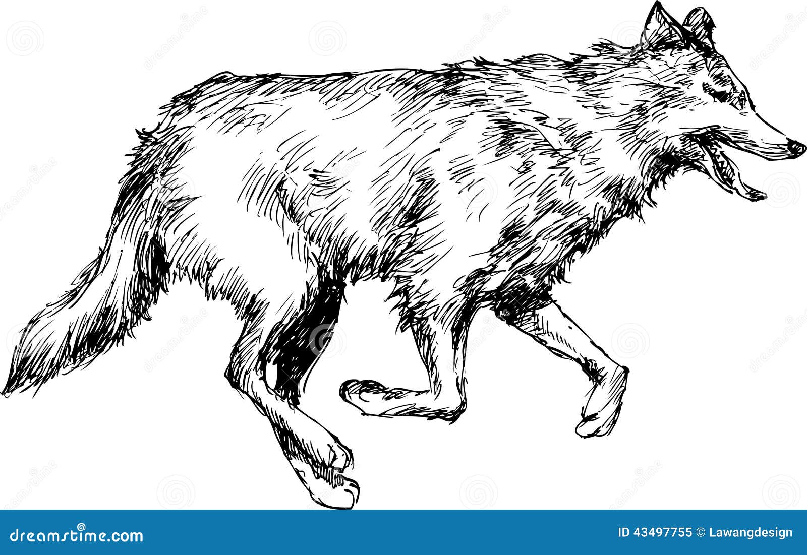 Hand drawn cute wolf stock vector. Illustration of attack - 43497755