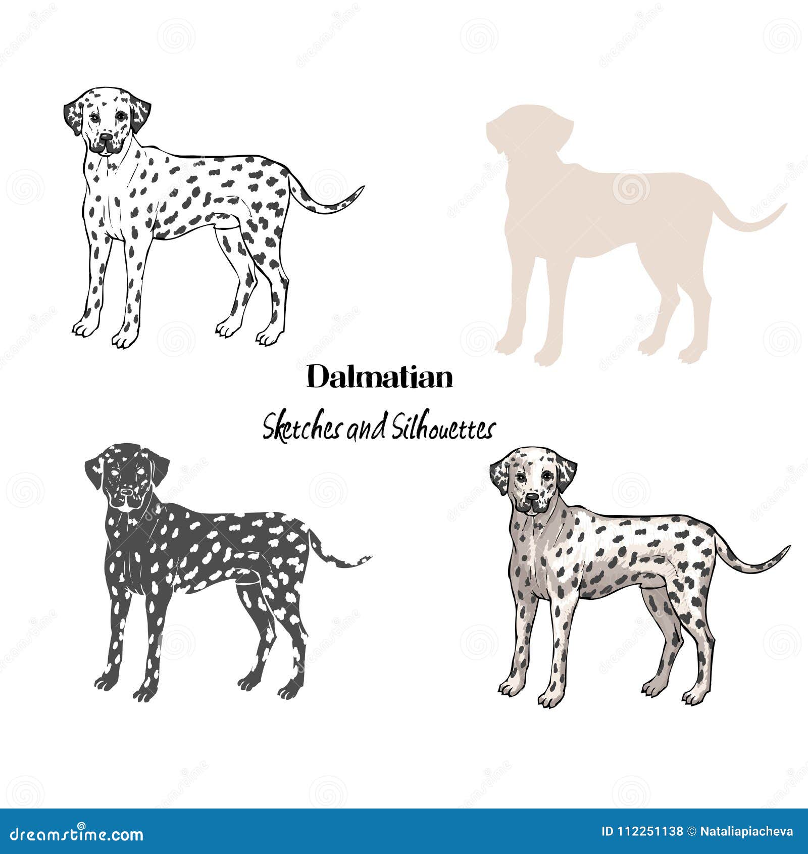 Hand Drawn Dalmatian Sketches Stock Vector - Illustration of happy ...