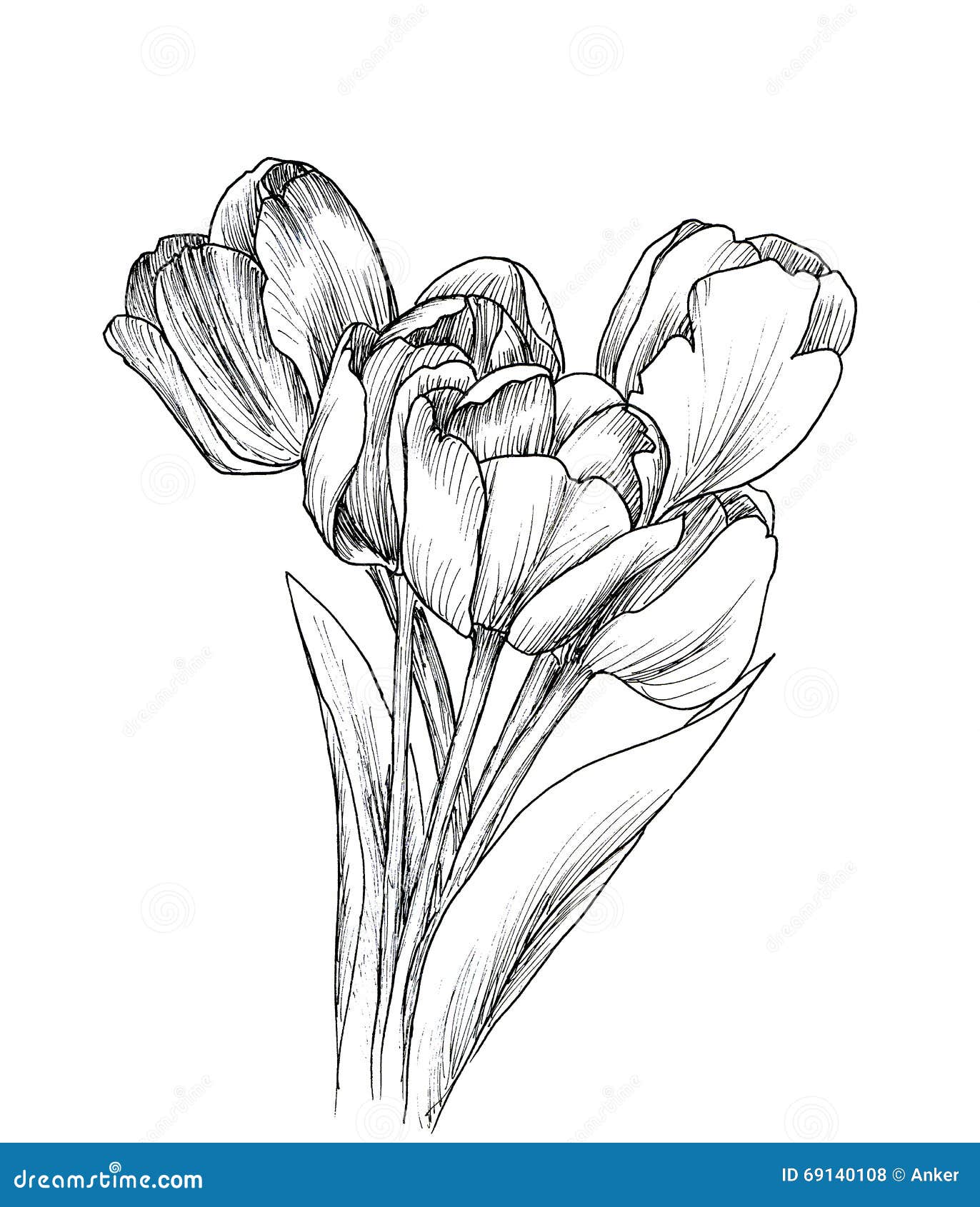 Hand Drawn Decorative Tulips for Your Design Stock Illustration ...