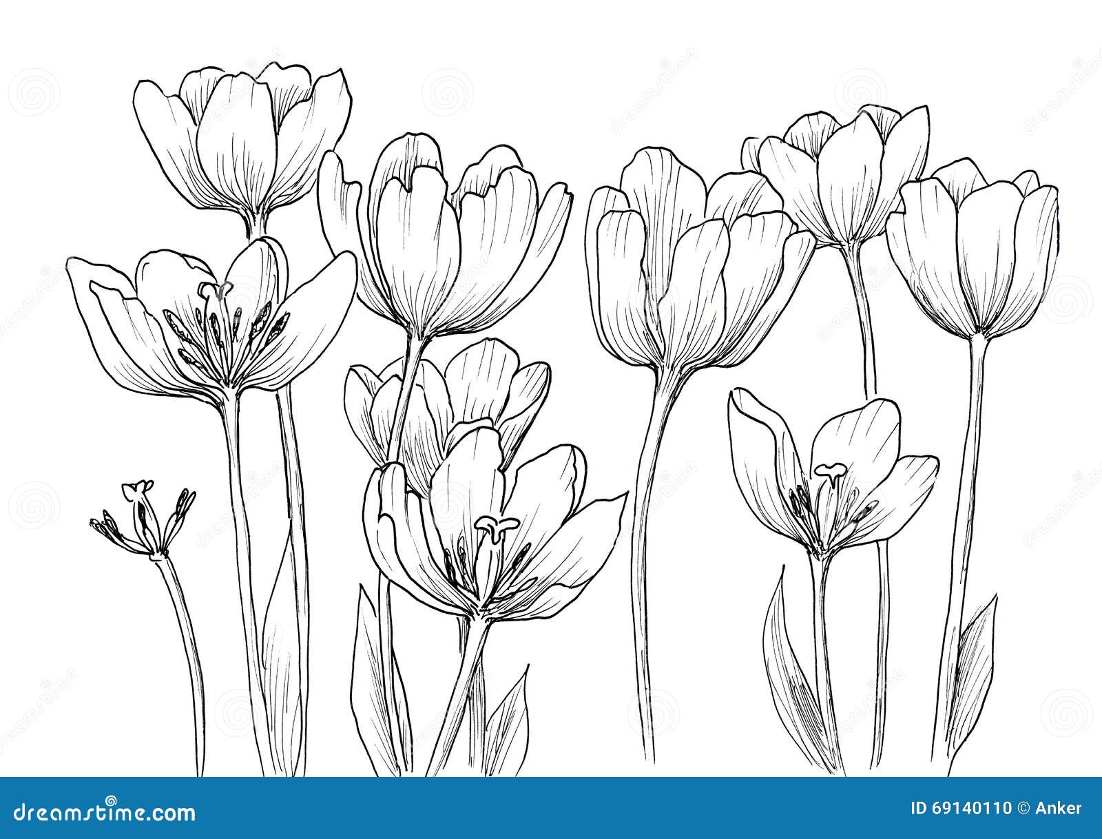 Hand Drawn Decorative Tulips for Your Design Stock Illustration ...
