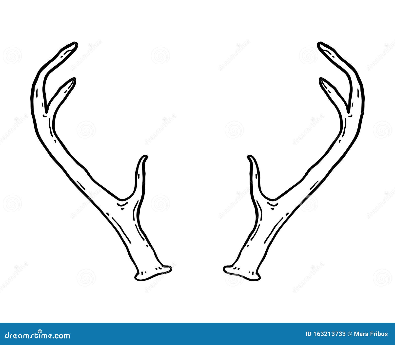 Hand Drawn Deer Antlers Stock Vector Illustration Of Outline 163213733