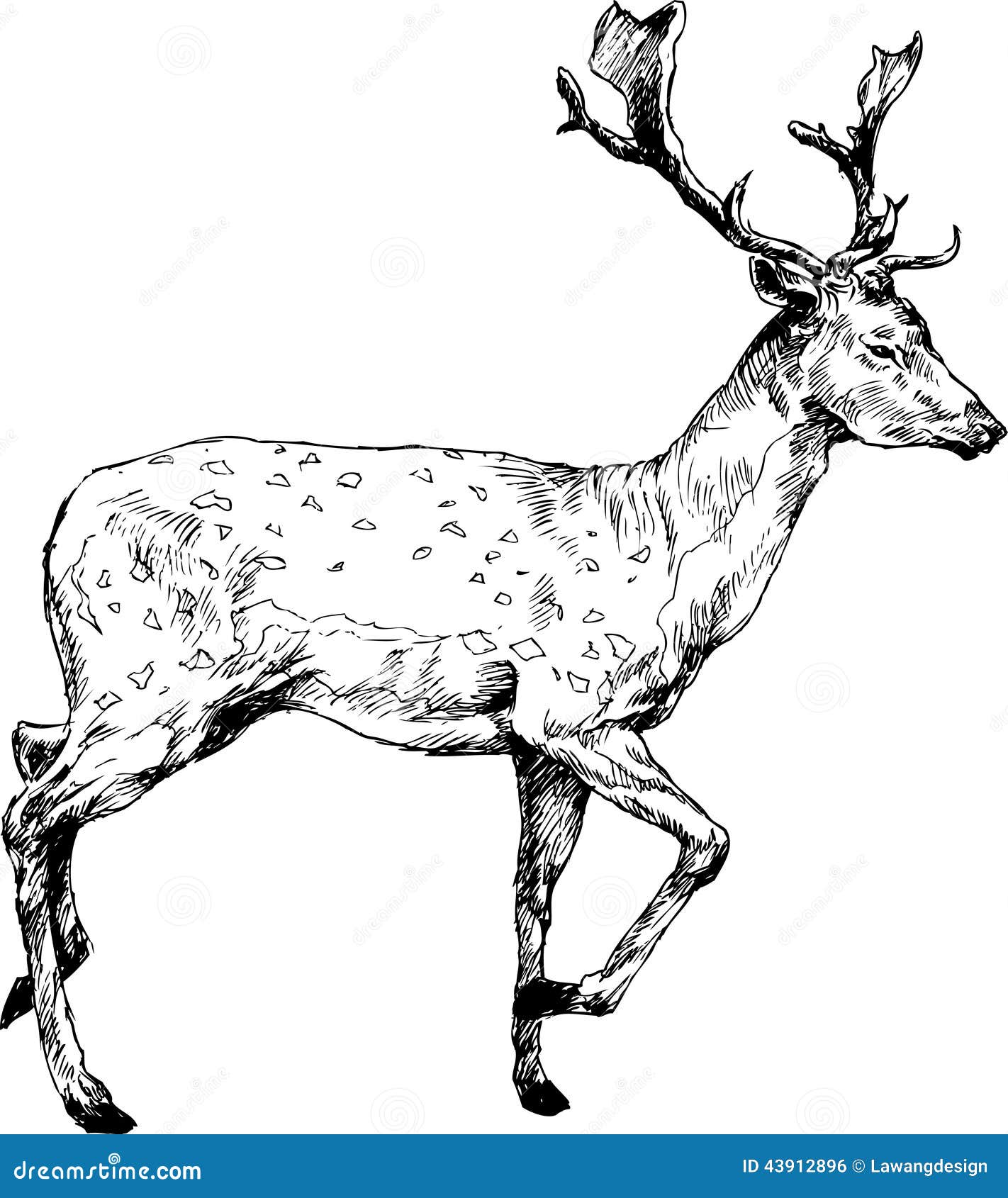 Hand drawn deer stock vector. Illustration of hand, celebration - 43912896