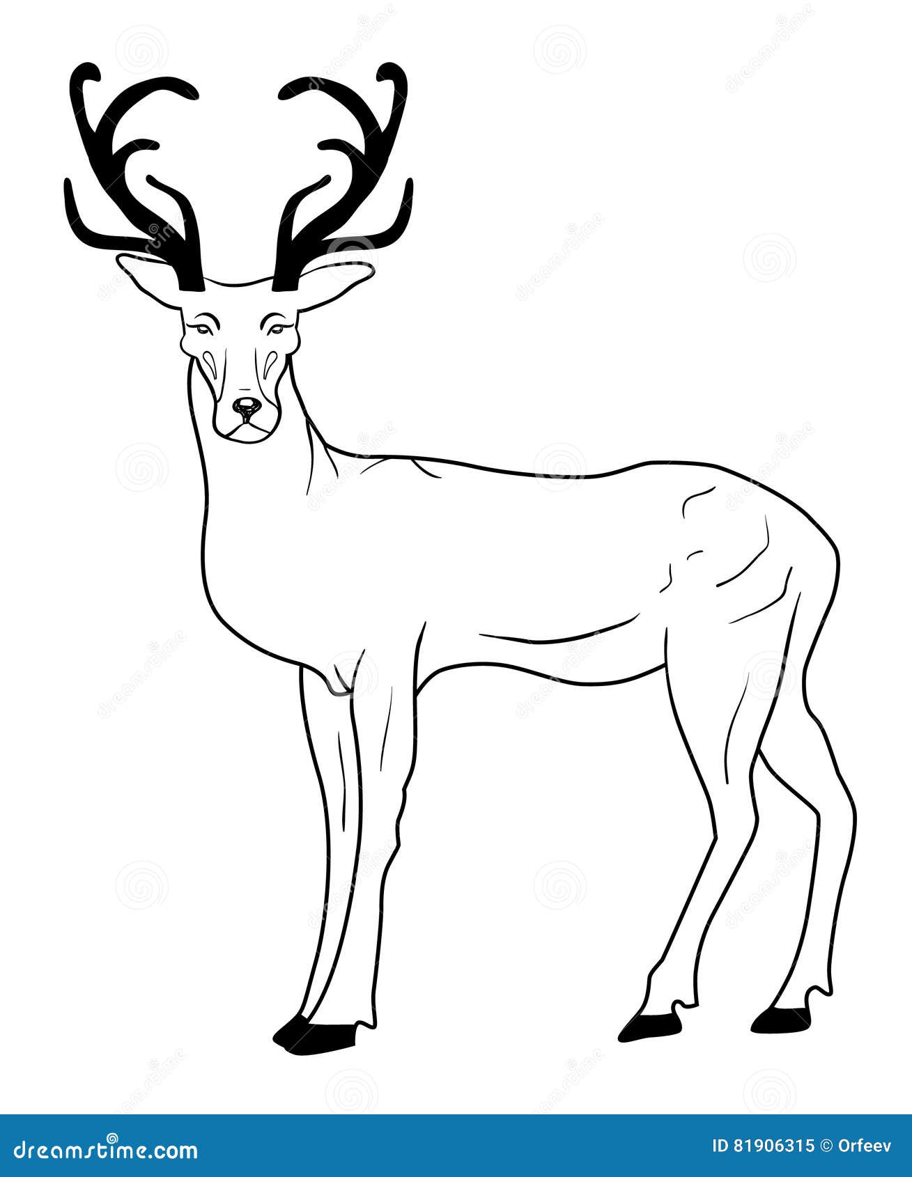 Hand drawn deer stock vector. Illustration of lines, design - 81906315